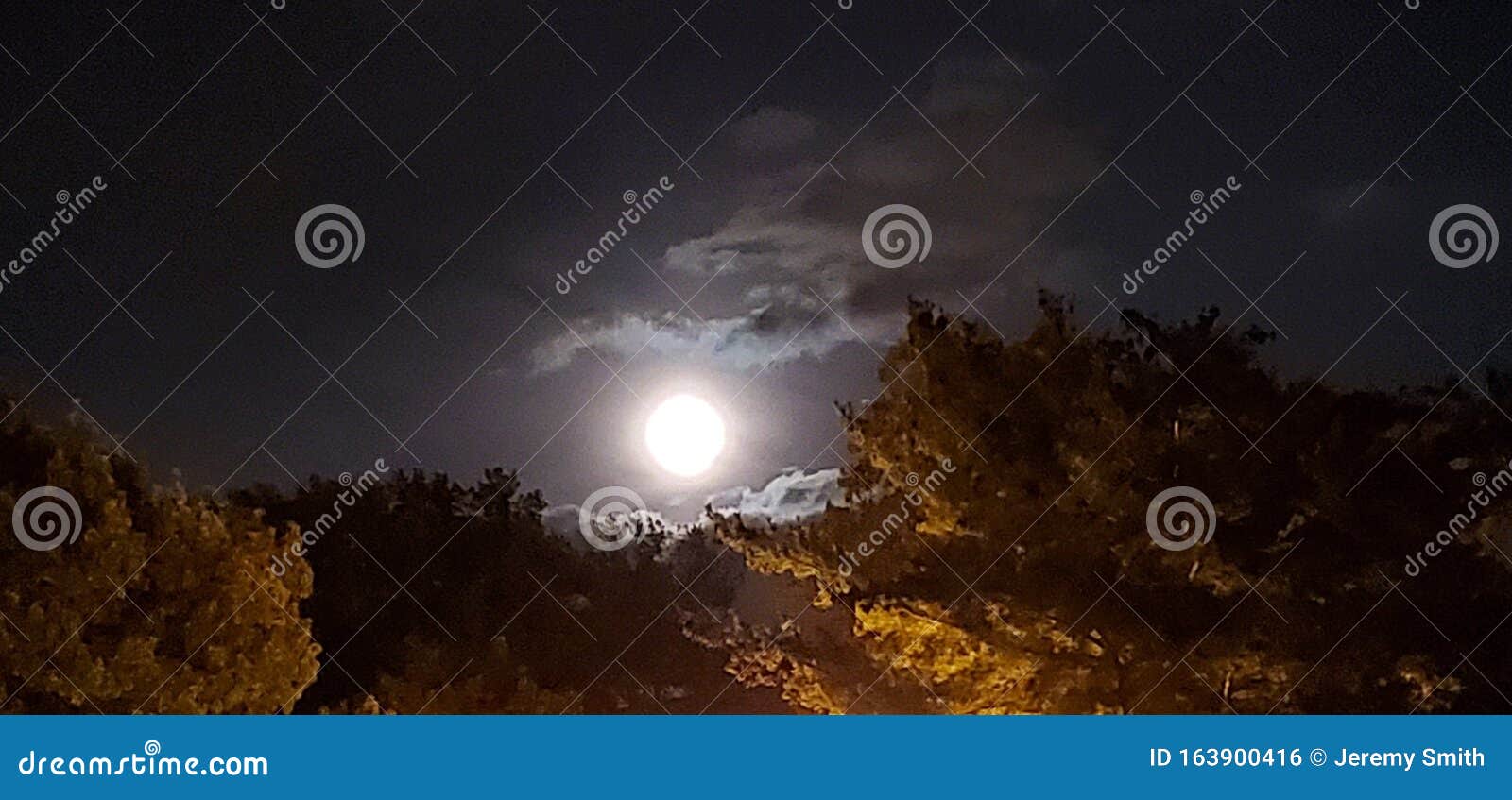 The full moon stock photo. Image of full, planet, night - 163900416