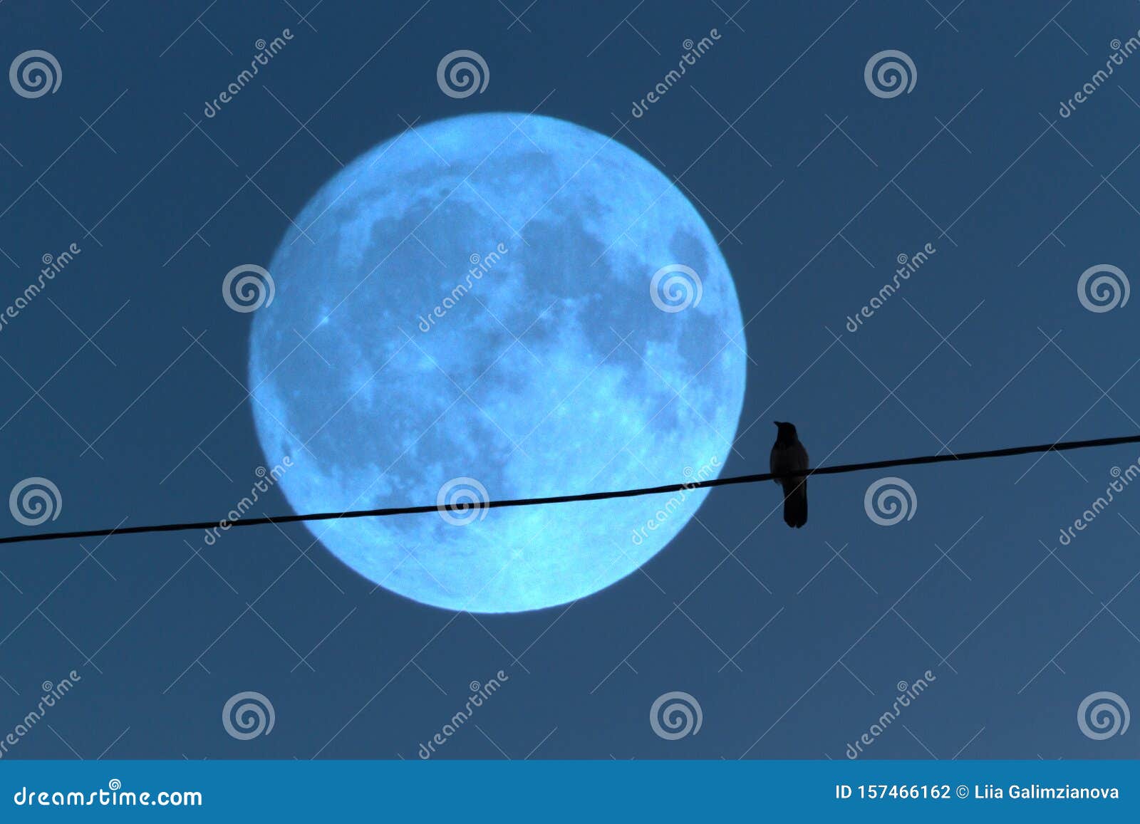 Full moon with raven stock photo. Image of light, nature - 157466162