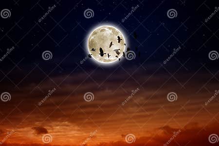 Full moon, ravens stock photo. Image of scenic, twilight - 29585362