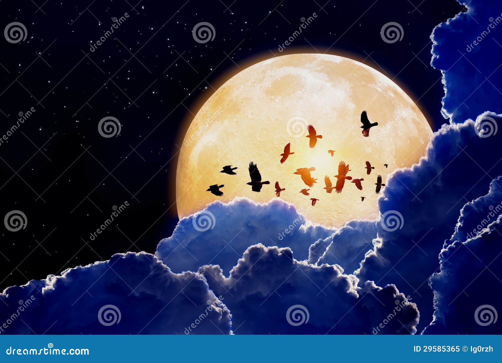 Full moon, ravens stock image. Image of mystical, astronomy - 29585365