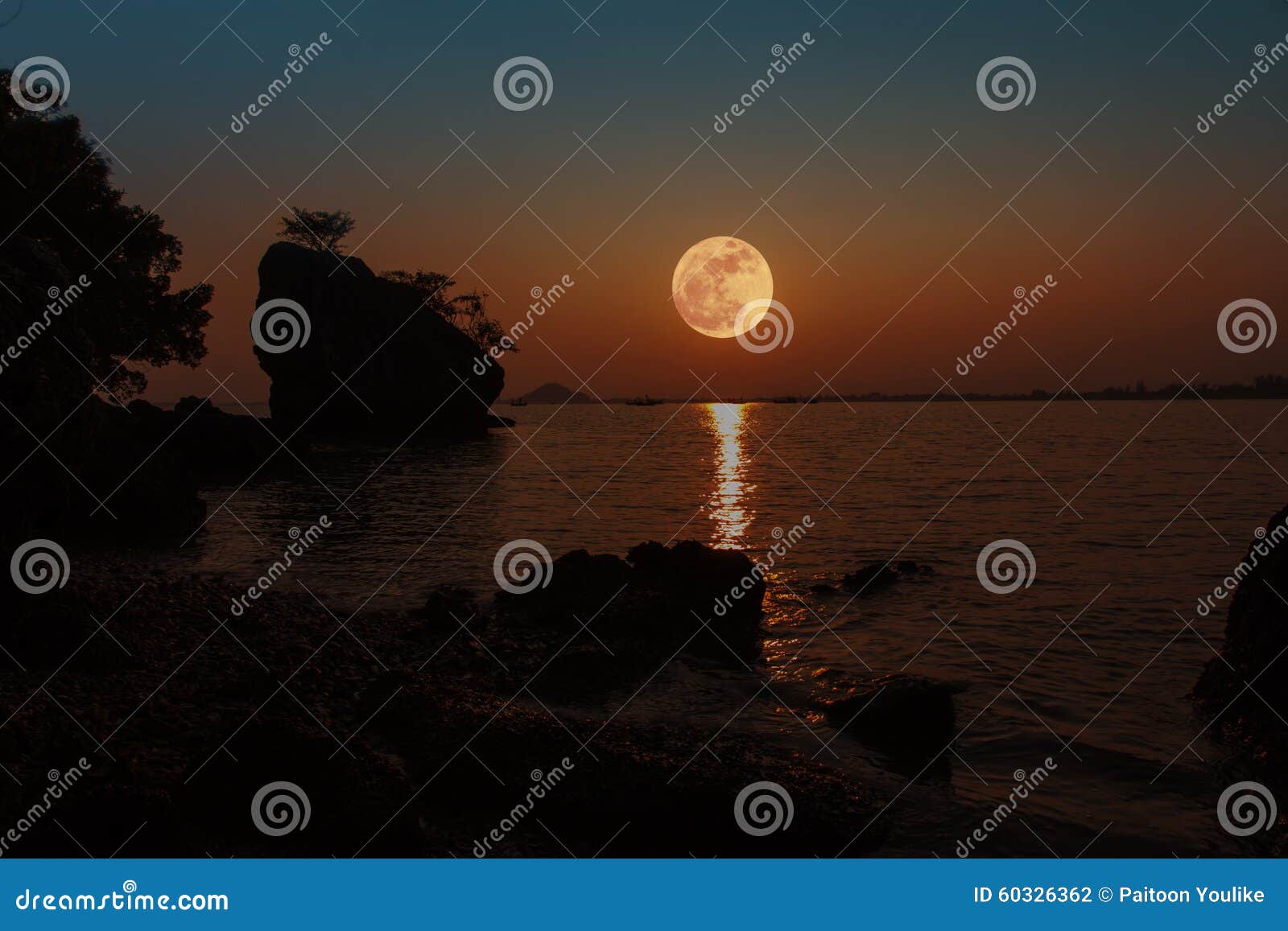 Full moon with reflection stock photo. Image of moonlight - 60326362