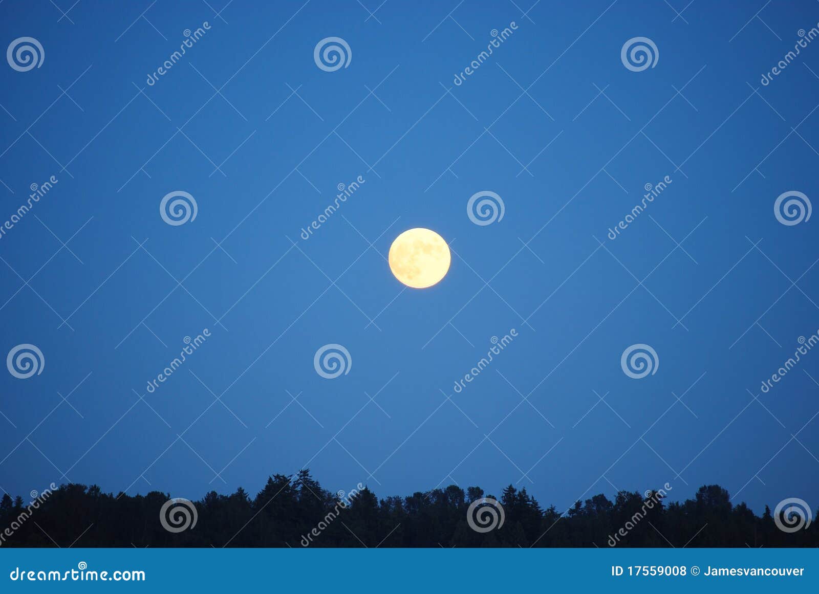 Full Moon Rise stock photo. Image of surface, twilight - 17559008