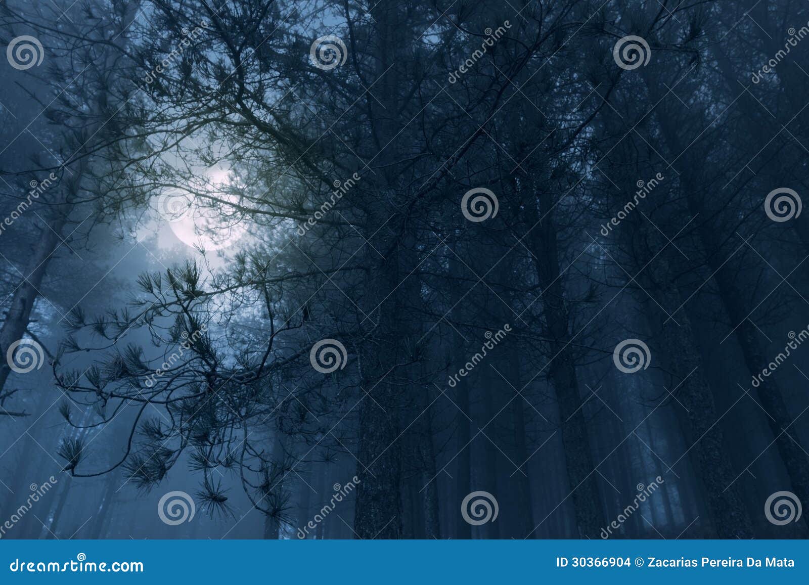 Full moon rise stock photo. Image of fantasy, moonlight - 30366904