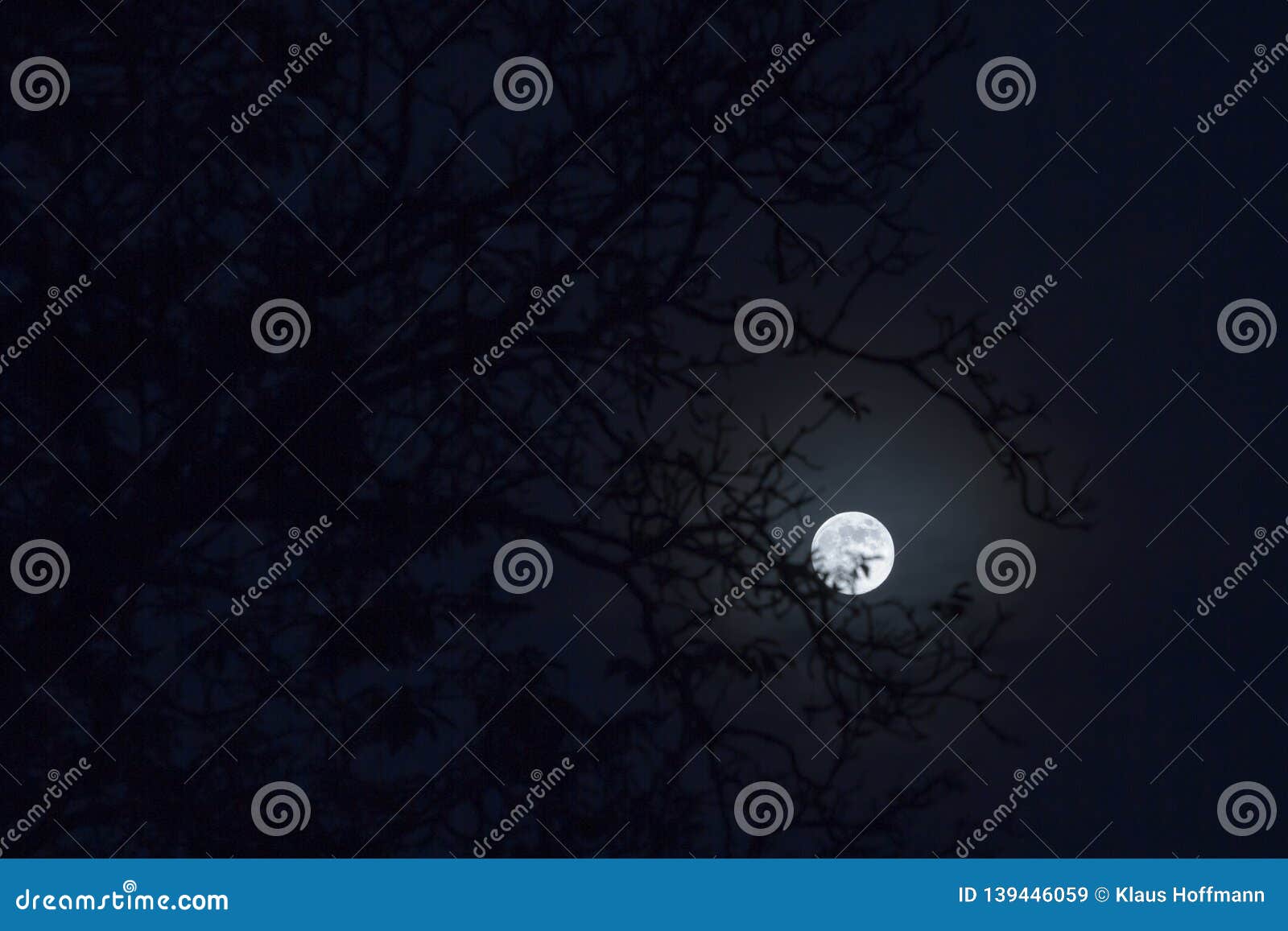 Moonrise Full Moon Behind Tree Branches Stock Image - Image of moving ...
