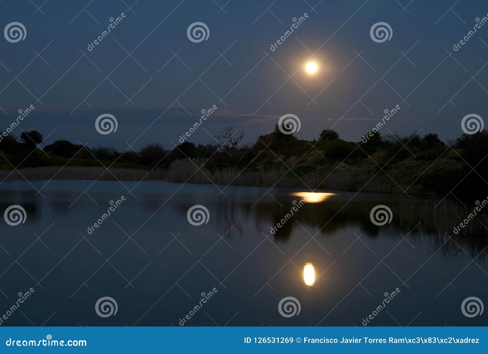 Full Moon Rising Over a Lake Stock Image - Image of moonlight, sincere ...