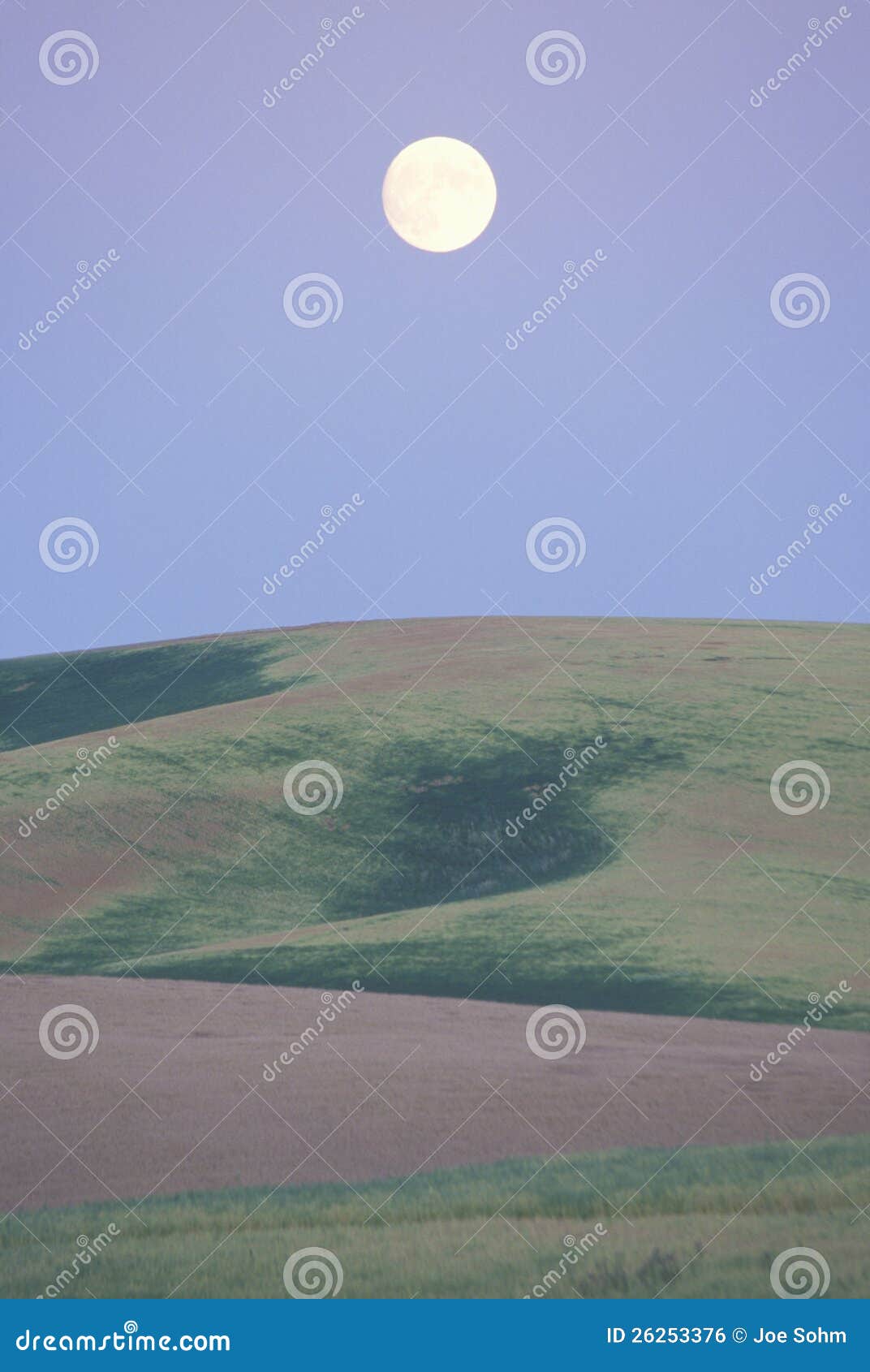 A Full Moon Rising Over Pea Fields Stock Photo - Image of dawn, rise ...