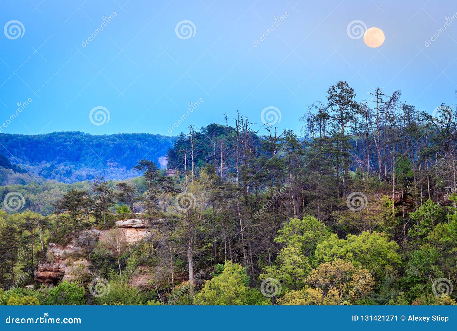 Full Moon Over Red River Gorge in Kentucky Stock Image - Image of ...