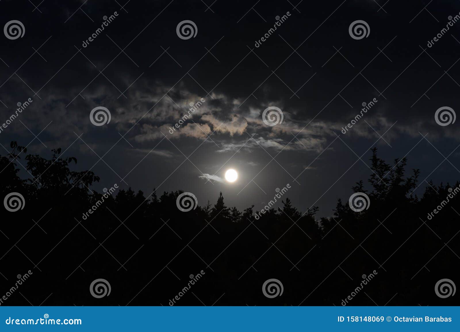 Full Moon Rising in Transylvania at Night in Forest Stock Image - Image ...