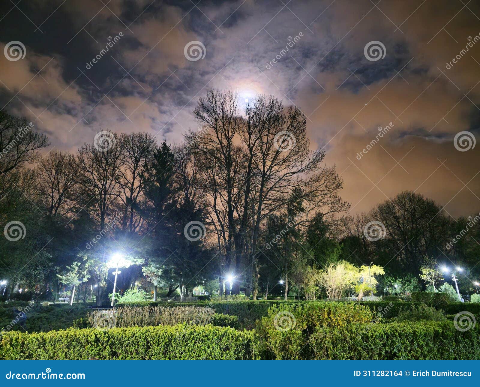 Full Moon between the Trees and Clouds Stock Photo - Image of sunlight ...