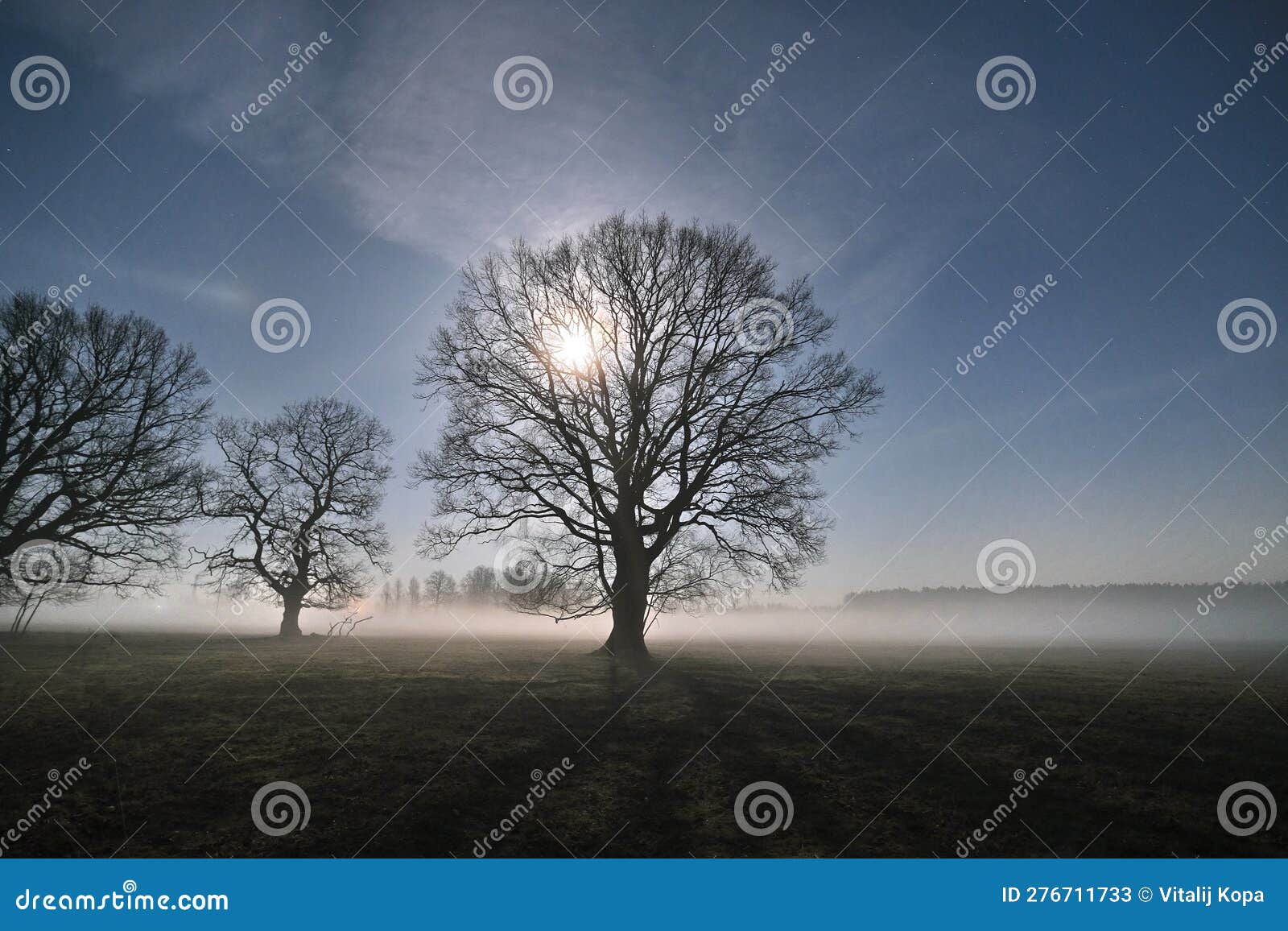 Full Moon set in April stock image. Image of plant, morning - 276711733