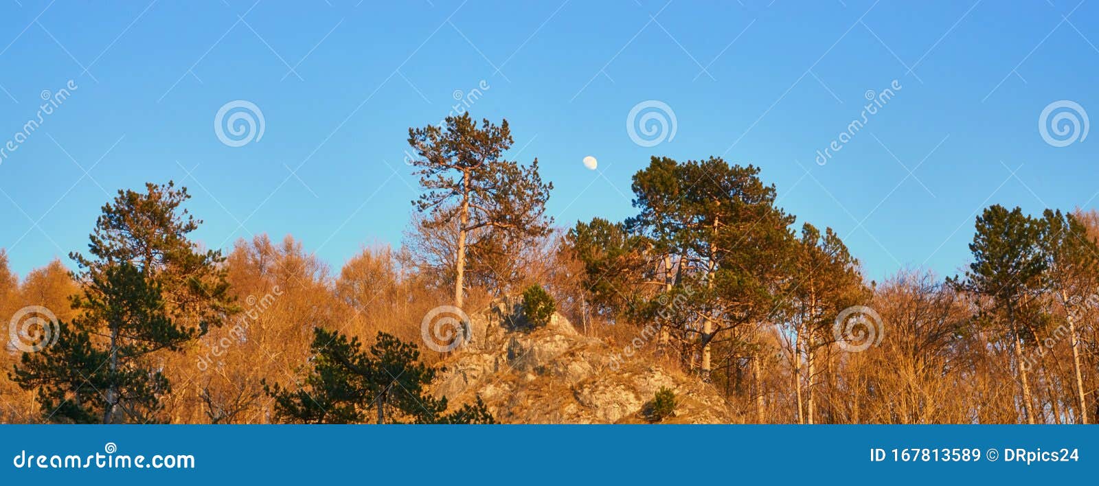 Full Moon Setting Over the Mountain Ridge with Colored Trees on the ...
