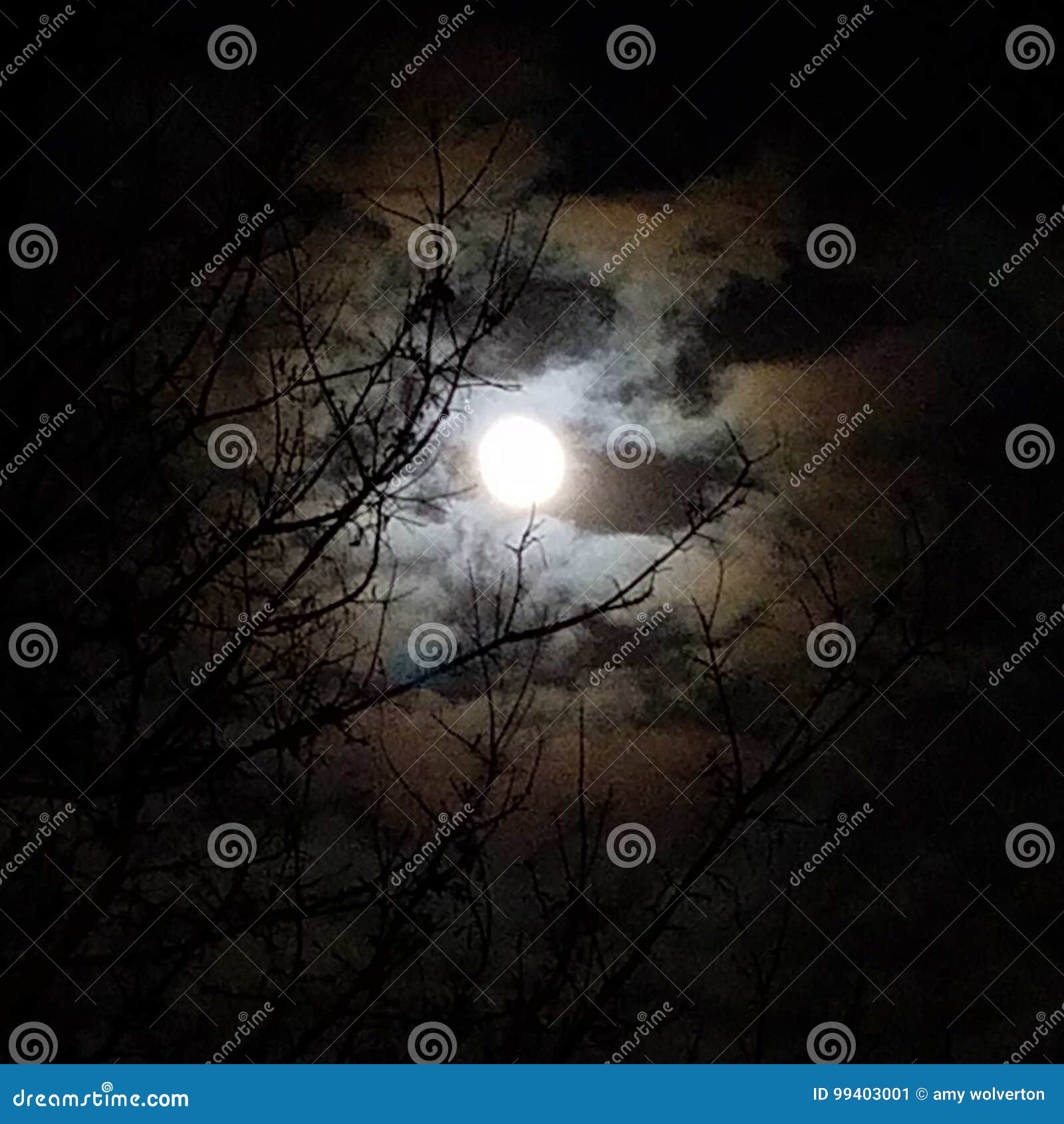 Full moon shadow stock image. Image of night, moon, circle - 99403001