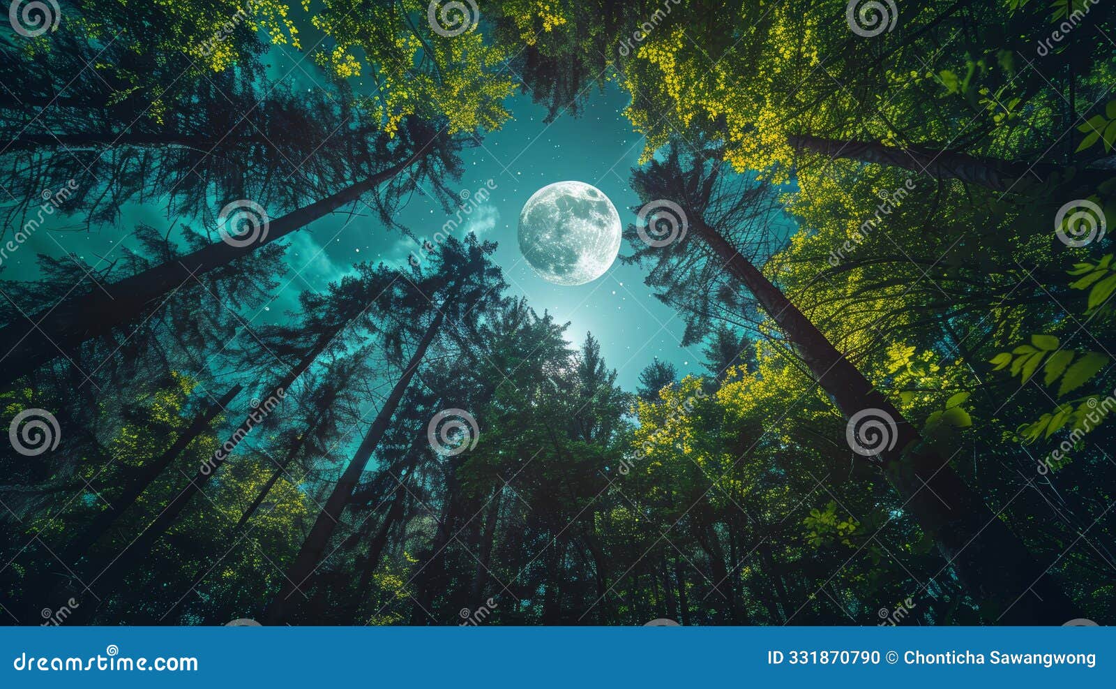 A Full Moon Shines Brightly through the Canopy of a Dense Forest at ...