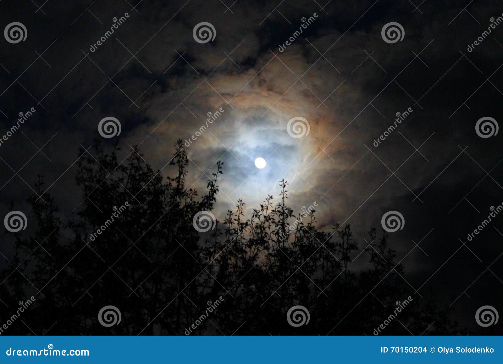 Full Moon Shining through the Clouds and Trees Stock Photo - Image of ...