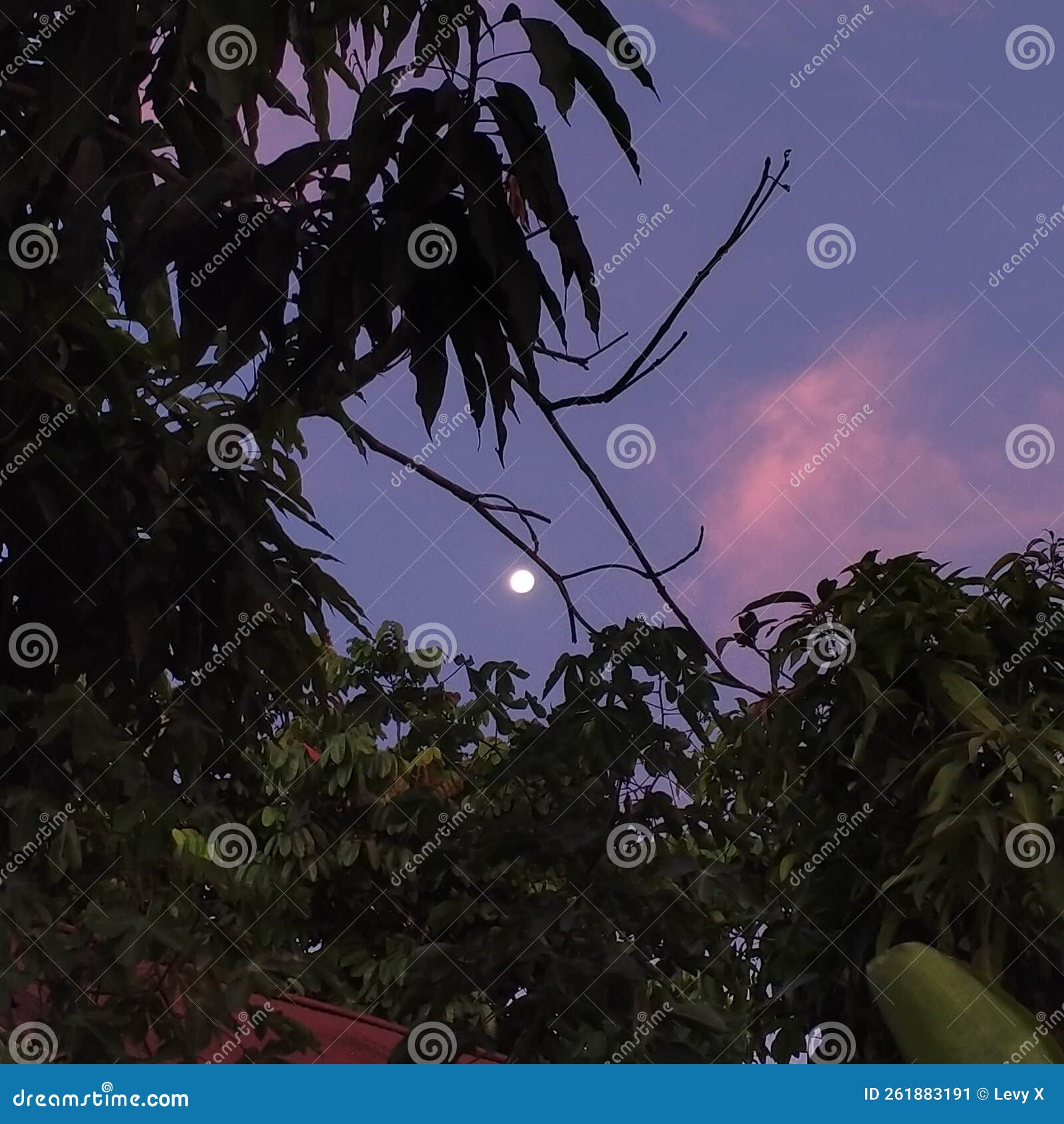 Full Moon Shot from a Far with Branches and Trees Stock Image - Image ...