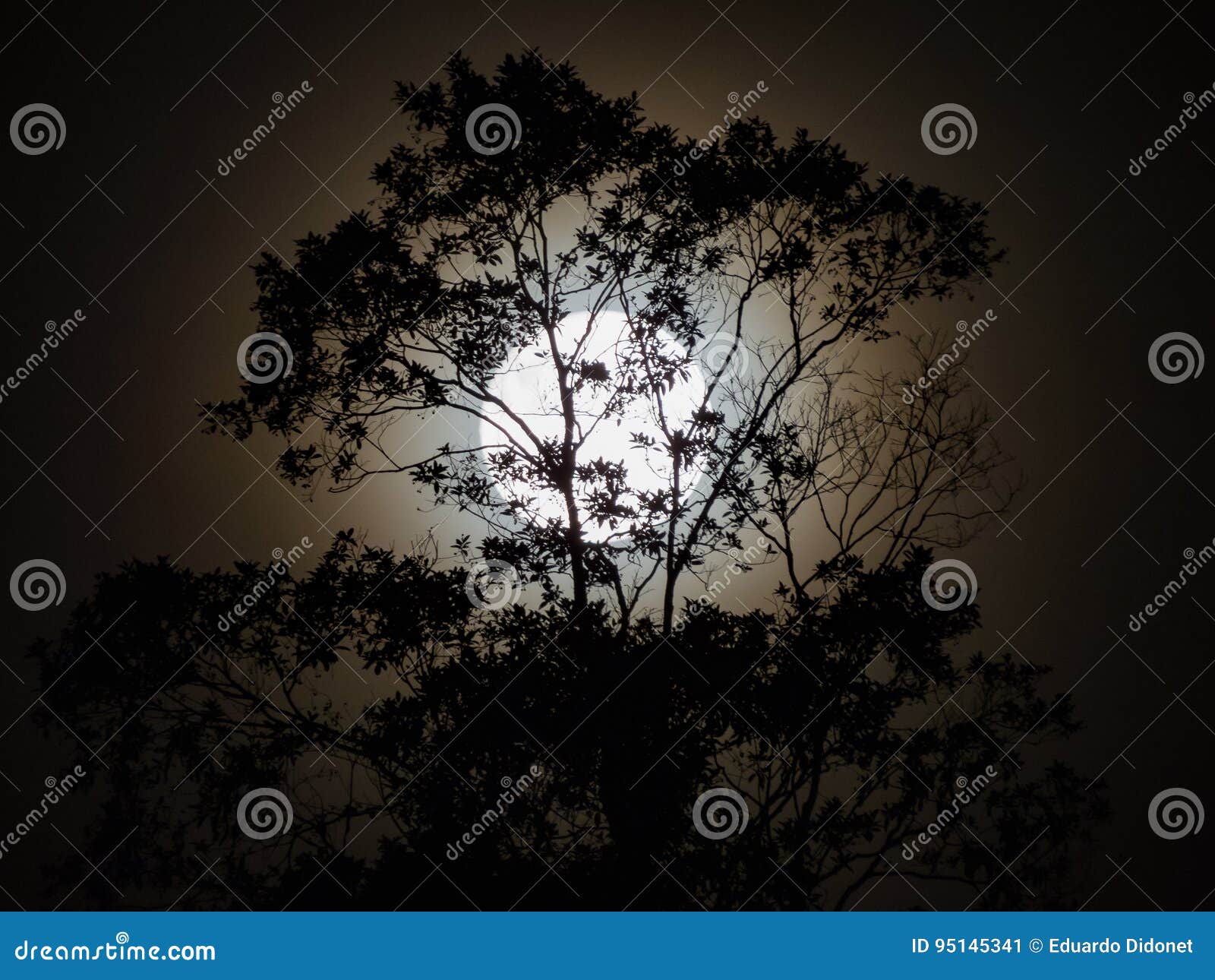 Full Moon Silhouette with Trees Stock Image - Image of mystery, dark ...