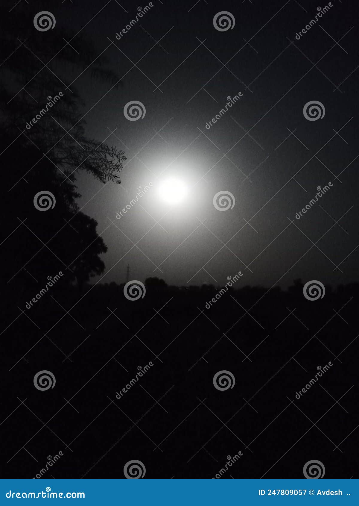 Full Moon in the Sky Night Scene Stock Image - Image of screenshot ...