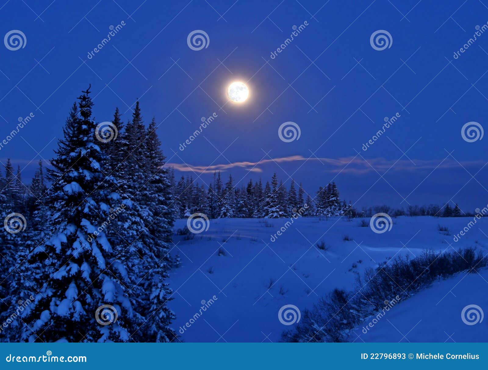 Snowy Night Moon