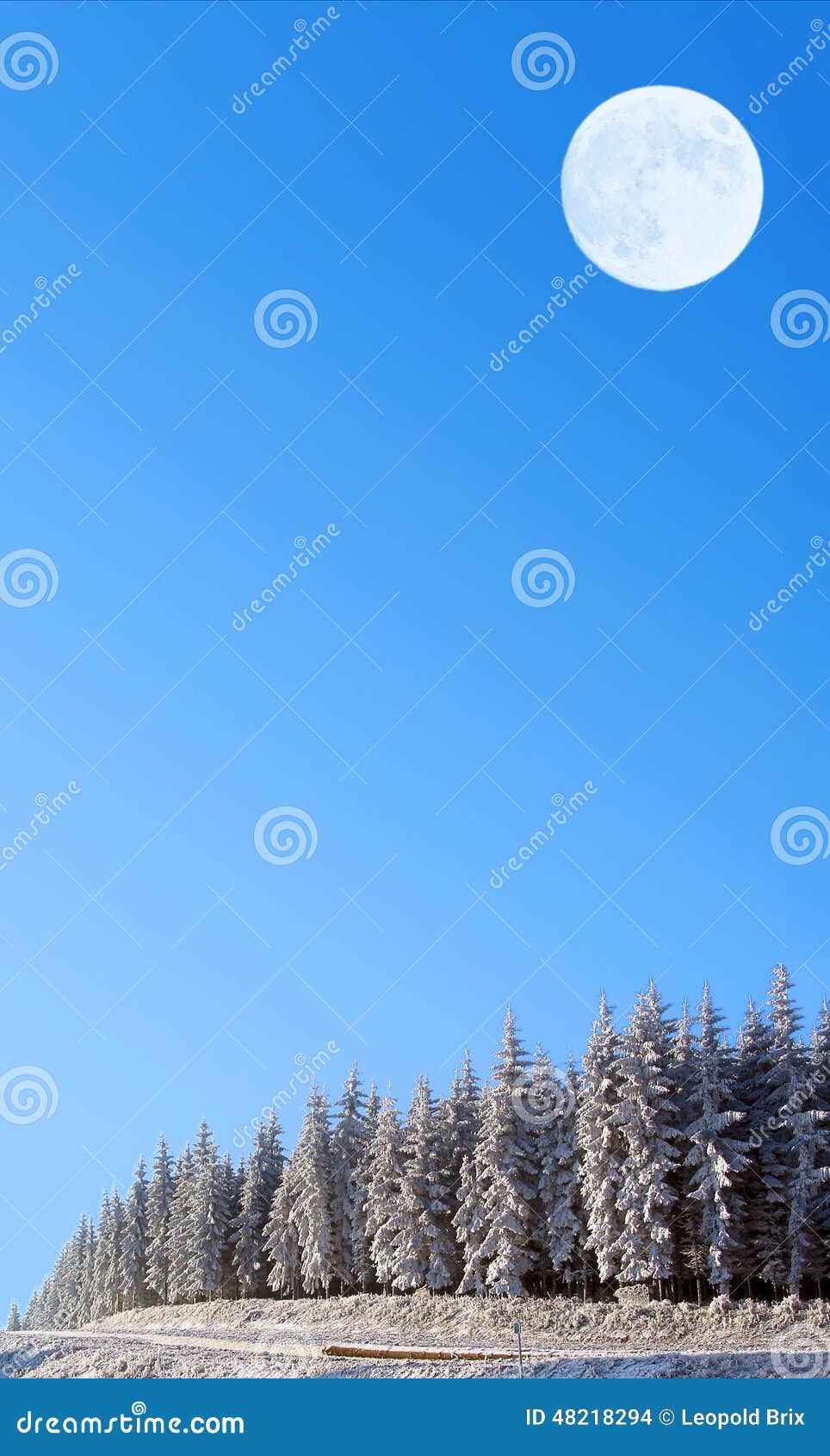 Full Moon and Snow-covered Forest Stock Photo - Image of moon, trees ...