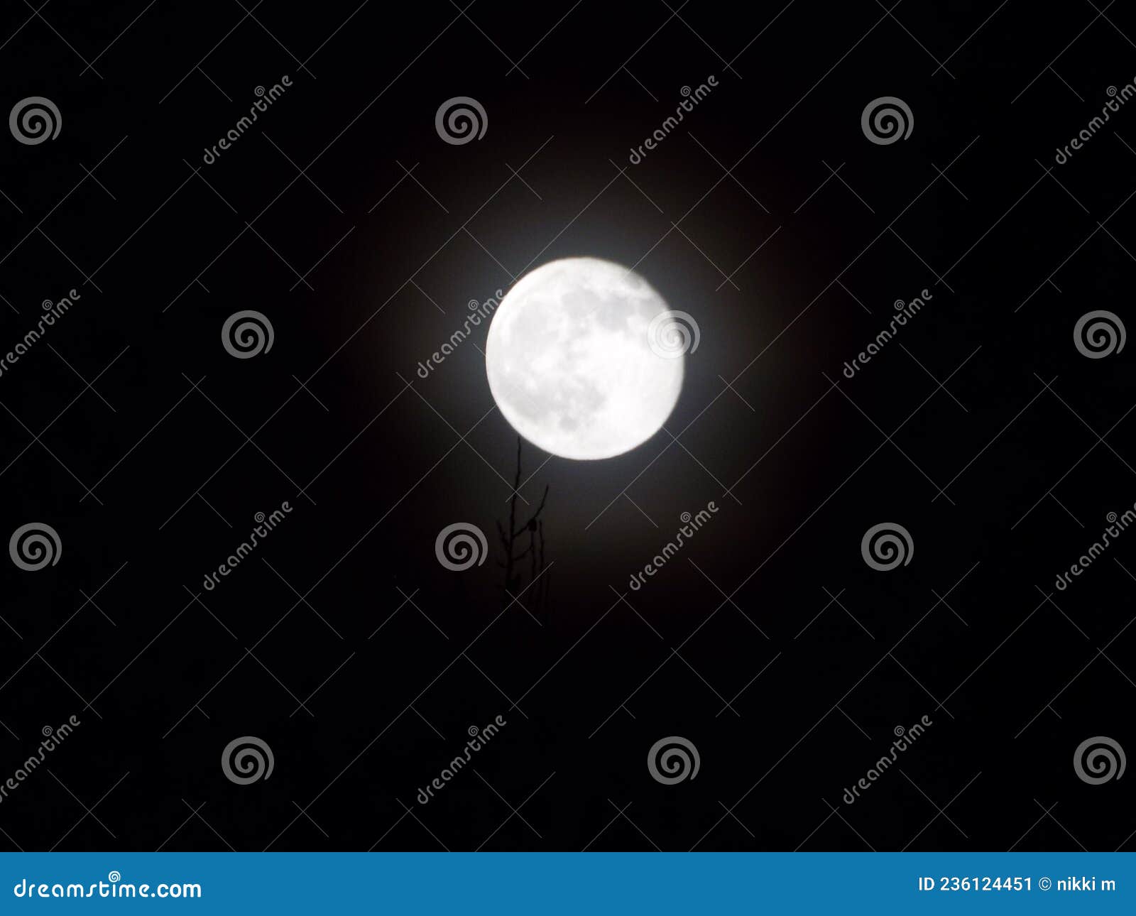 Full moon stock image. Image of font, midnight, lighting - 236124451