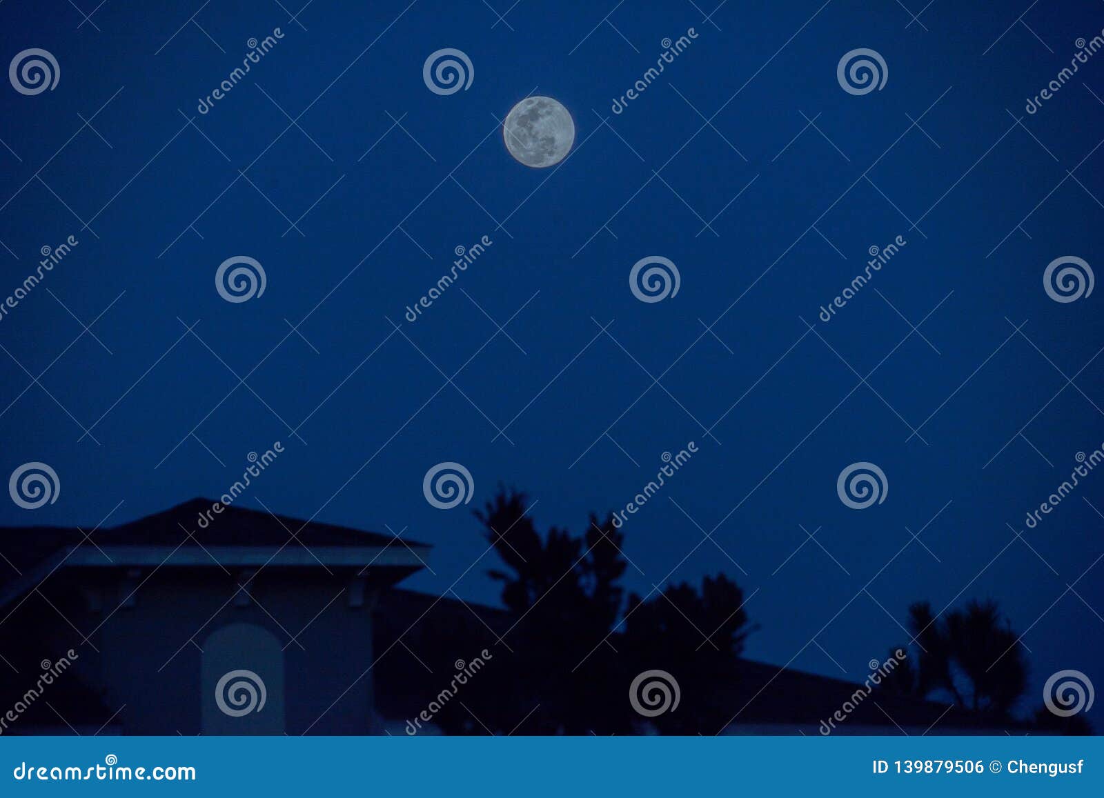 Night moon, and tree stock photo. Image of moonlight - 139879506