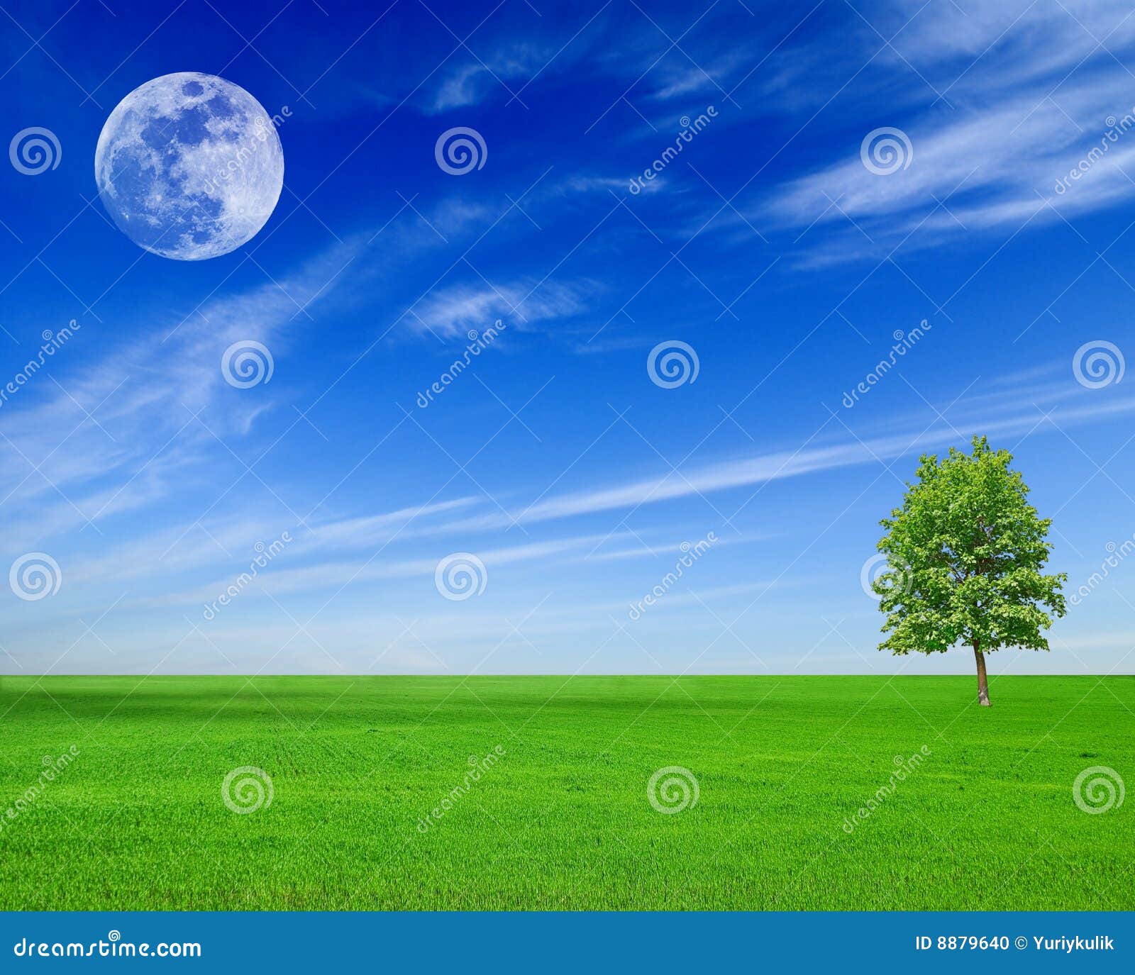 Full moon under the field stock photo. Image of country - 8879640