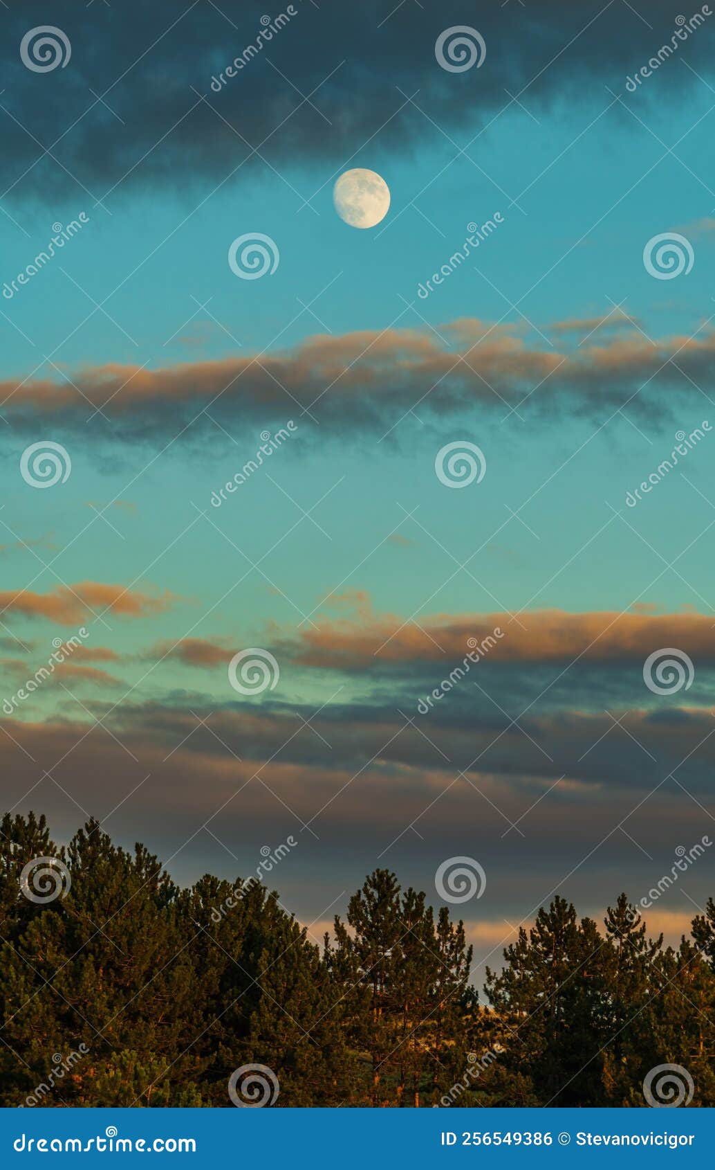 The Moon In Waxing Stage Stock Photography | CartoonDealer.com #232369700 The Moon In Waxing Stage Stock Photography | CartoonDealer.com #232369700