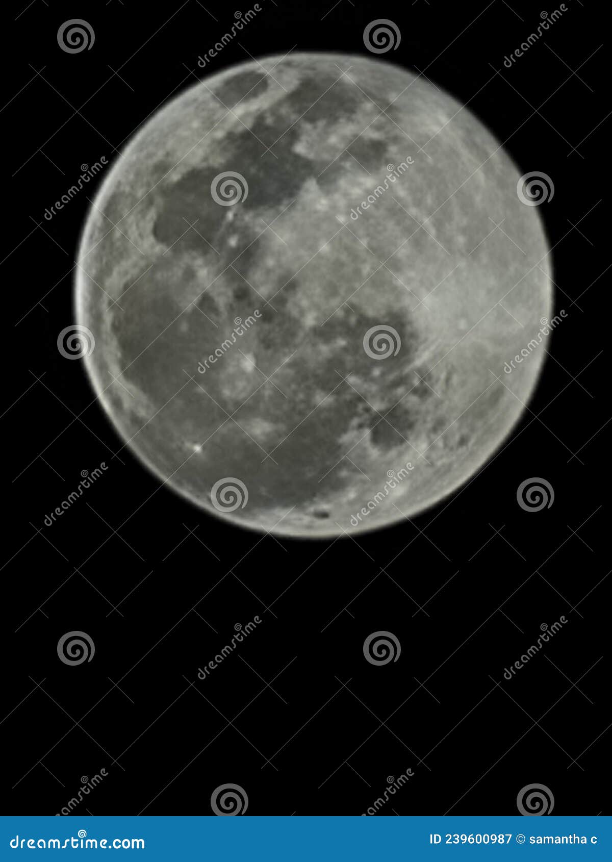 Full moon white stock image. Image of midnight, astronomy - 239600987