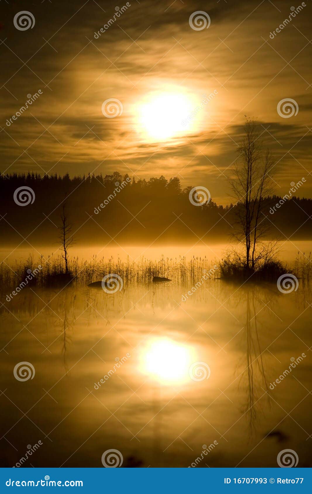 Full moonlight stock image. Image of natural, reflection - 16707993