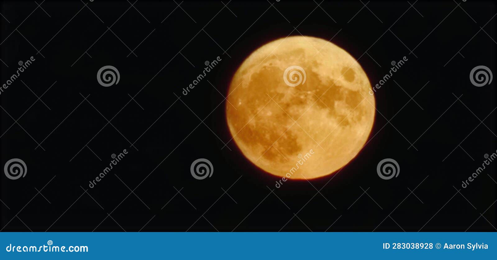 Full moonlight information stock photo. Image of quail - 283038928