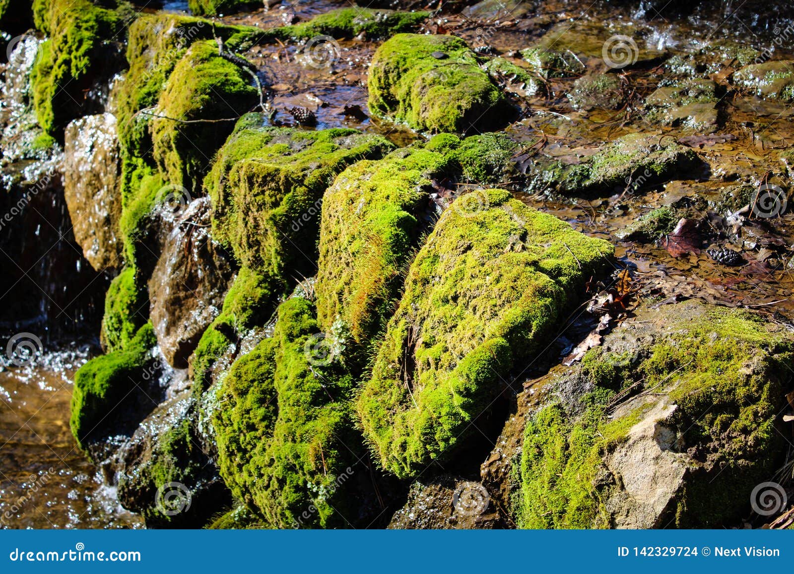 Full of Moss on the Waterfall Stock Photo - Image of beautiful ...
