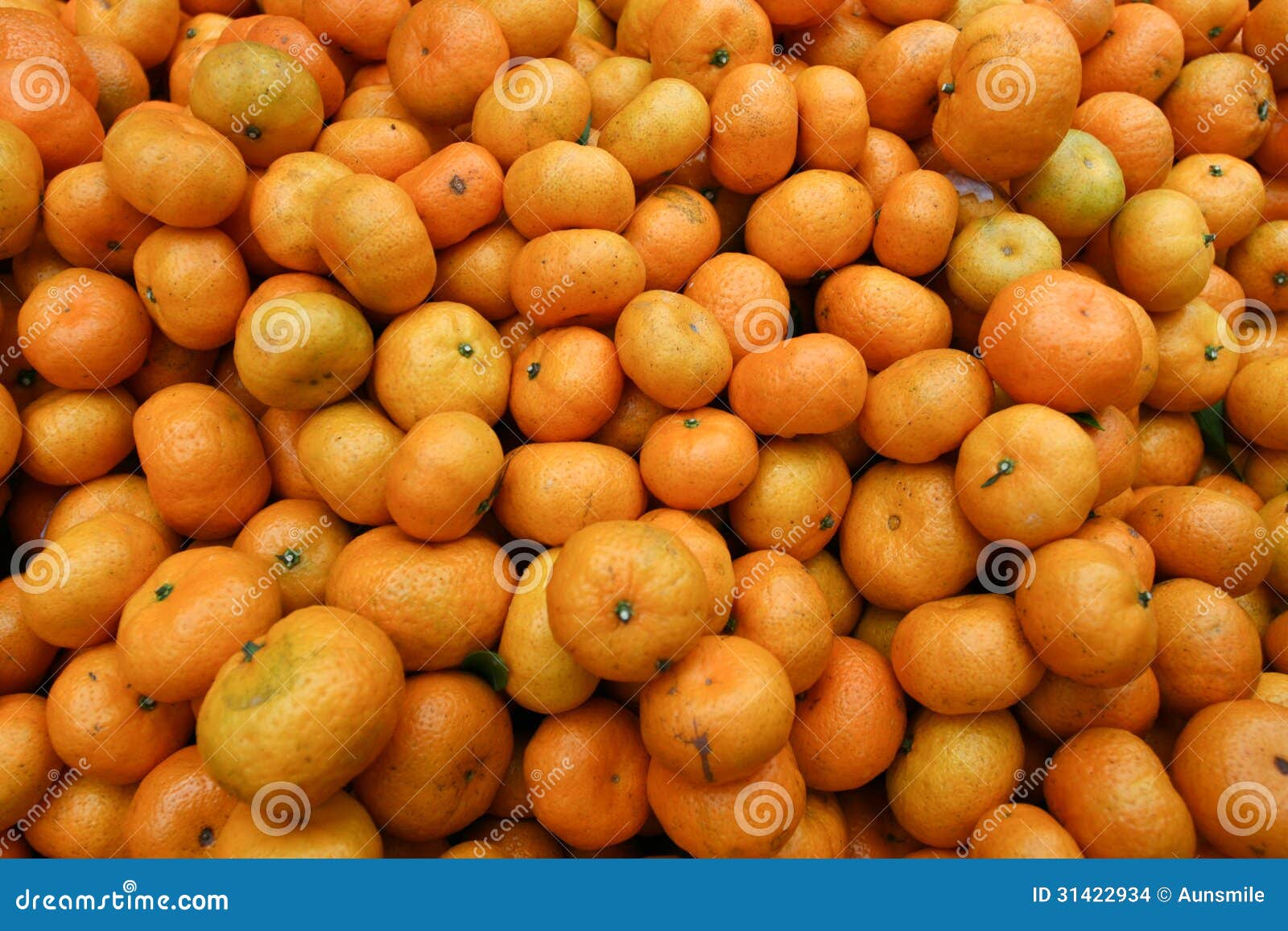 Full of Orange stock photo. Image of perfect, detail - 31422934