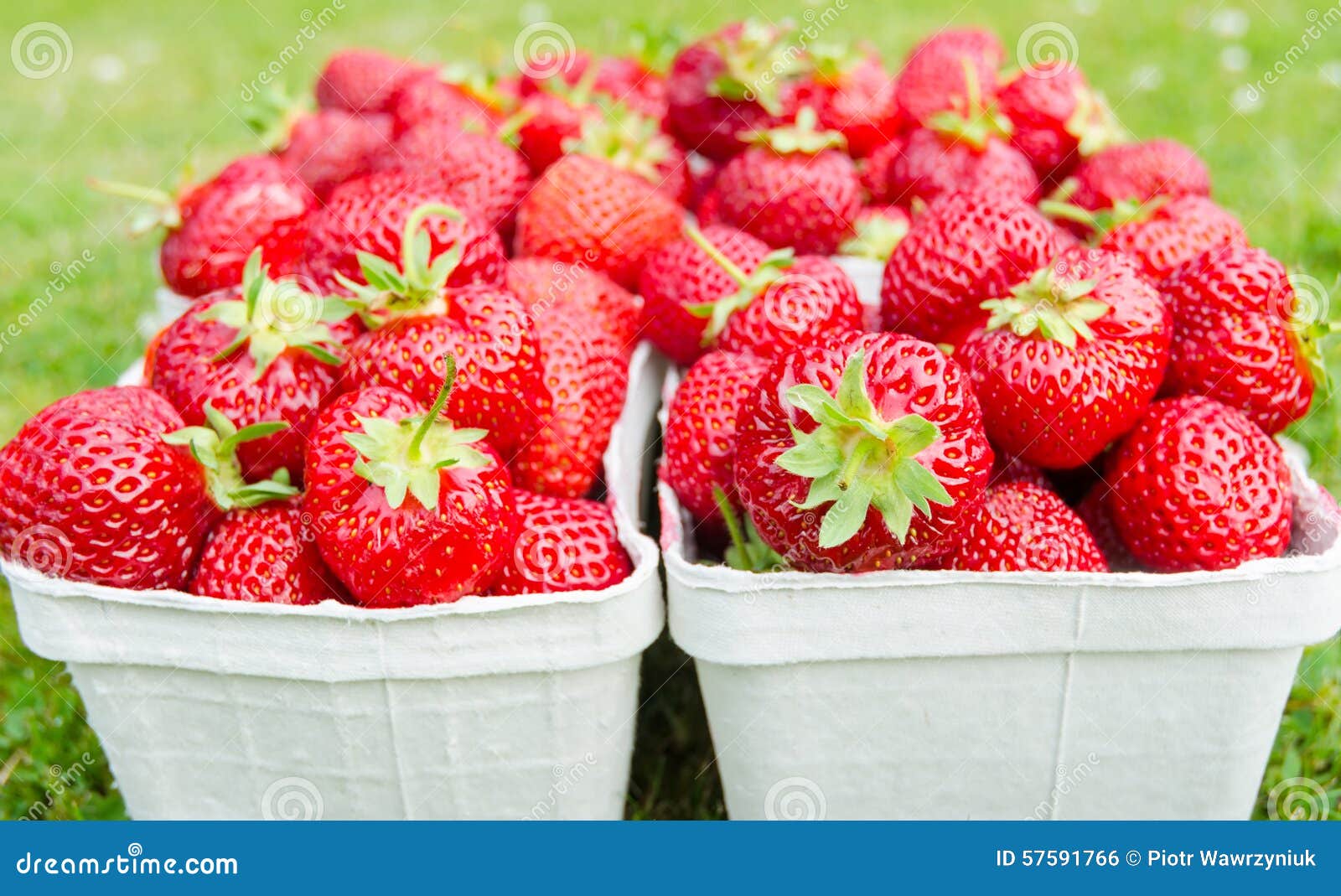 Full Packages with Fresh Strawberries with Grass Background Stock Photo ...