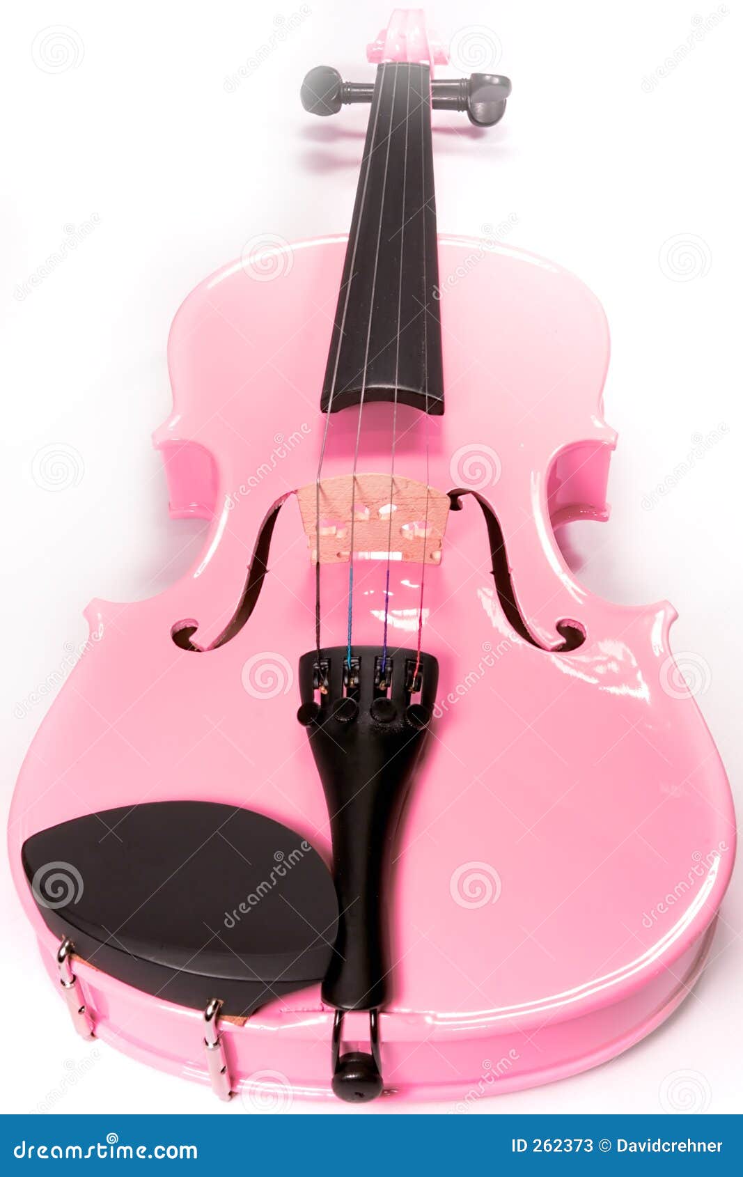 Full Pink Violin Isolated stock image. Image of surprised - 262373