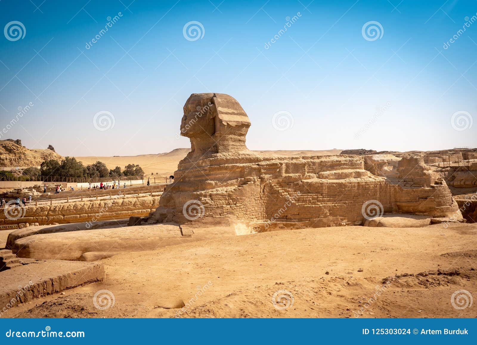 The Full Profile of the Great Sphinx with the Pyramid in the Background ...