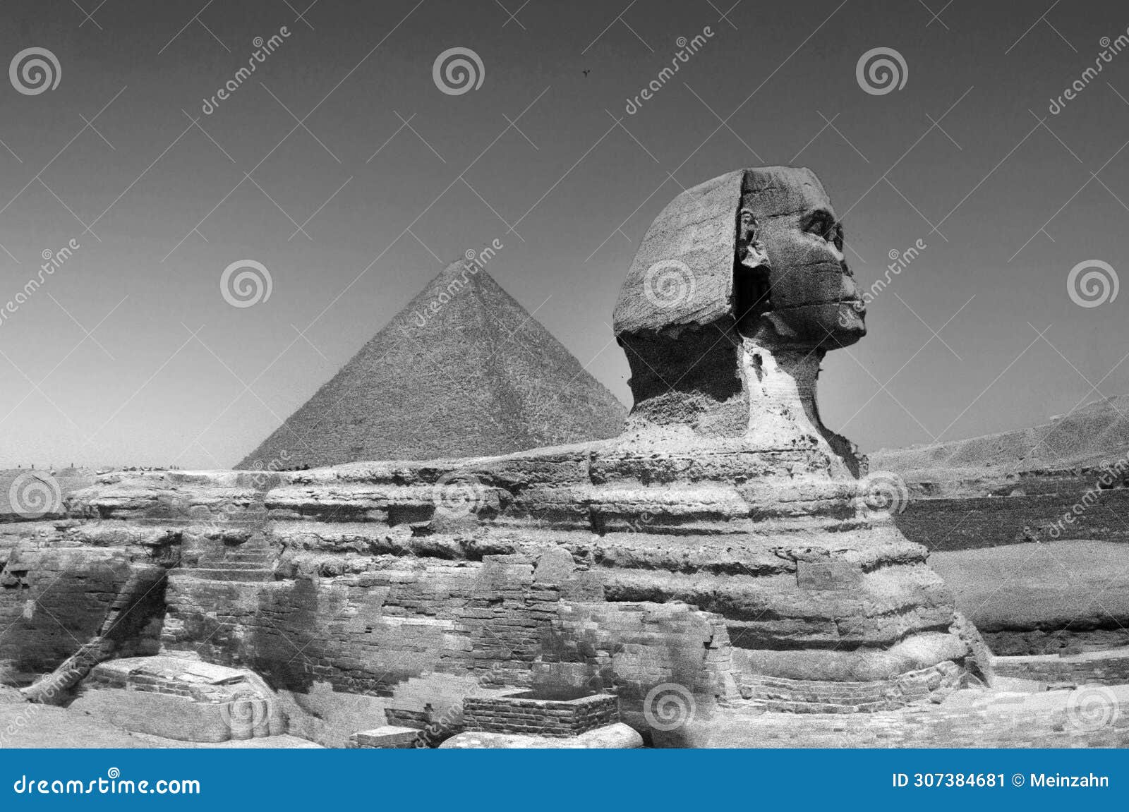 Full Profile of the Great Sphinx with the Pyramid in the Background in ...