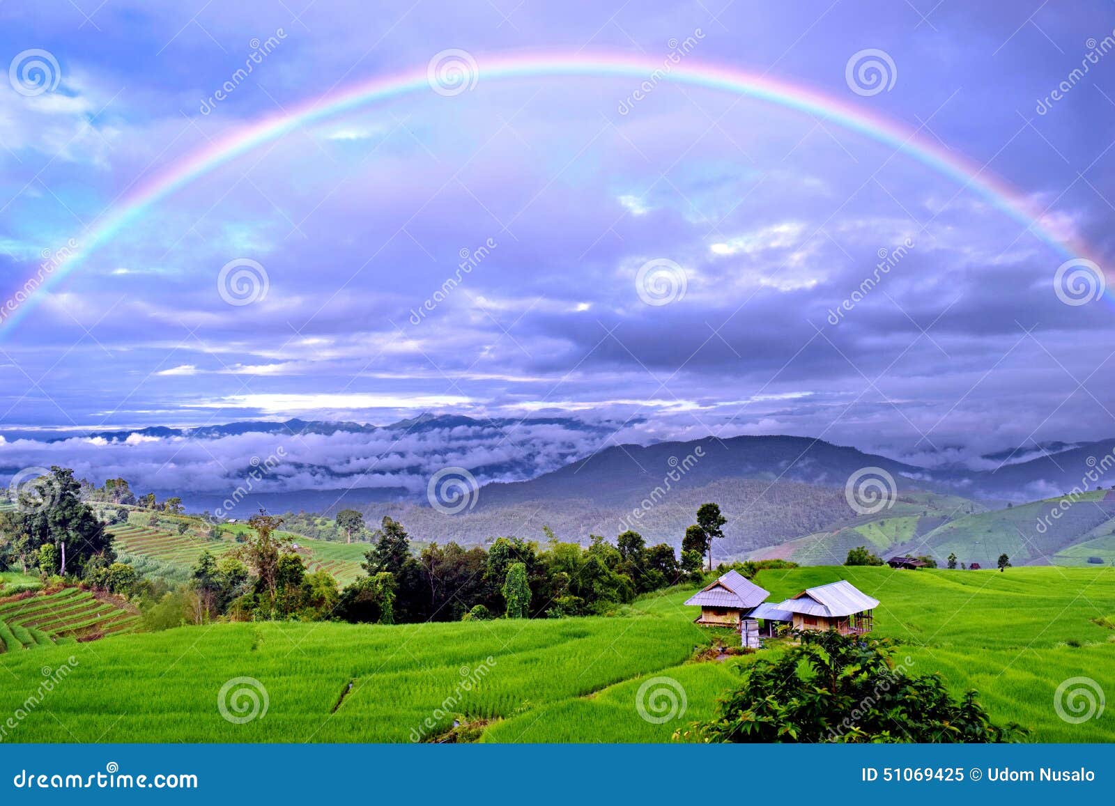 Full rainbow stock image. Image of coffee, forest, sunset - 51069425