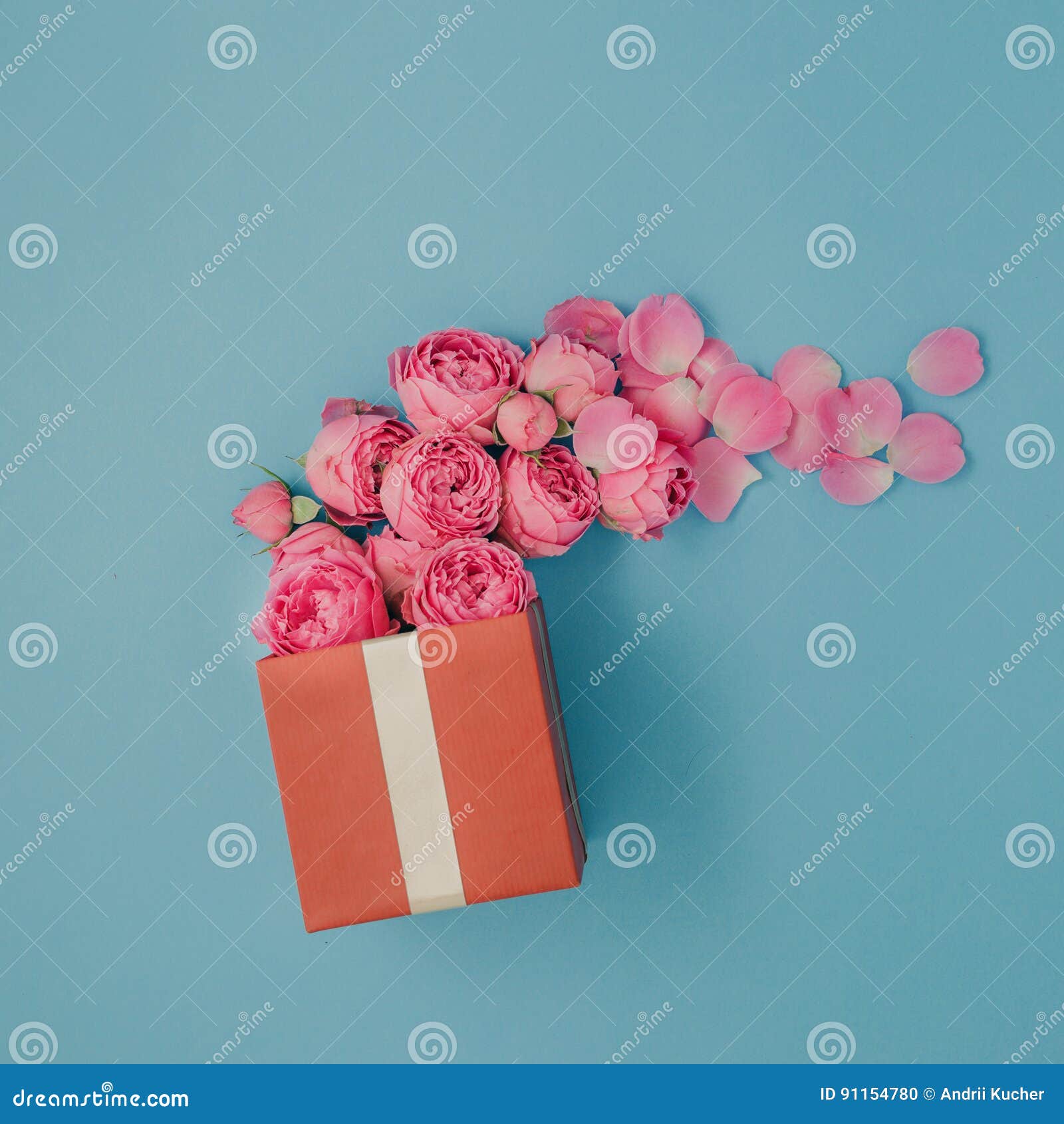 Full Red Gift Box of Pink Roses on Blue Background Stock Photo - Image ...