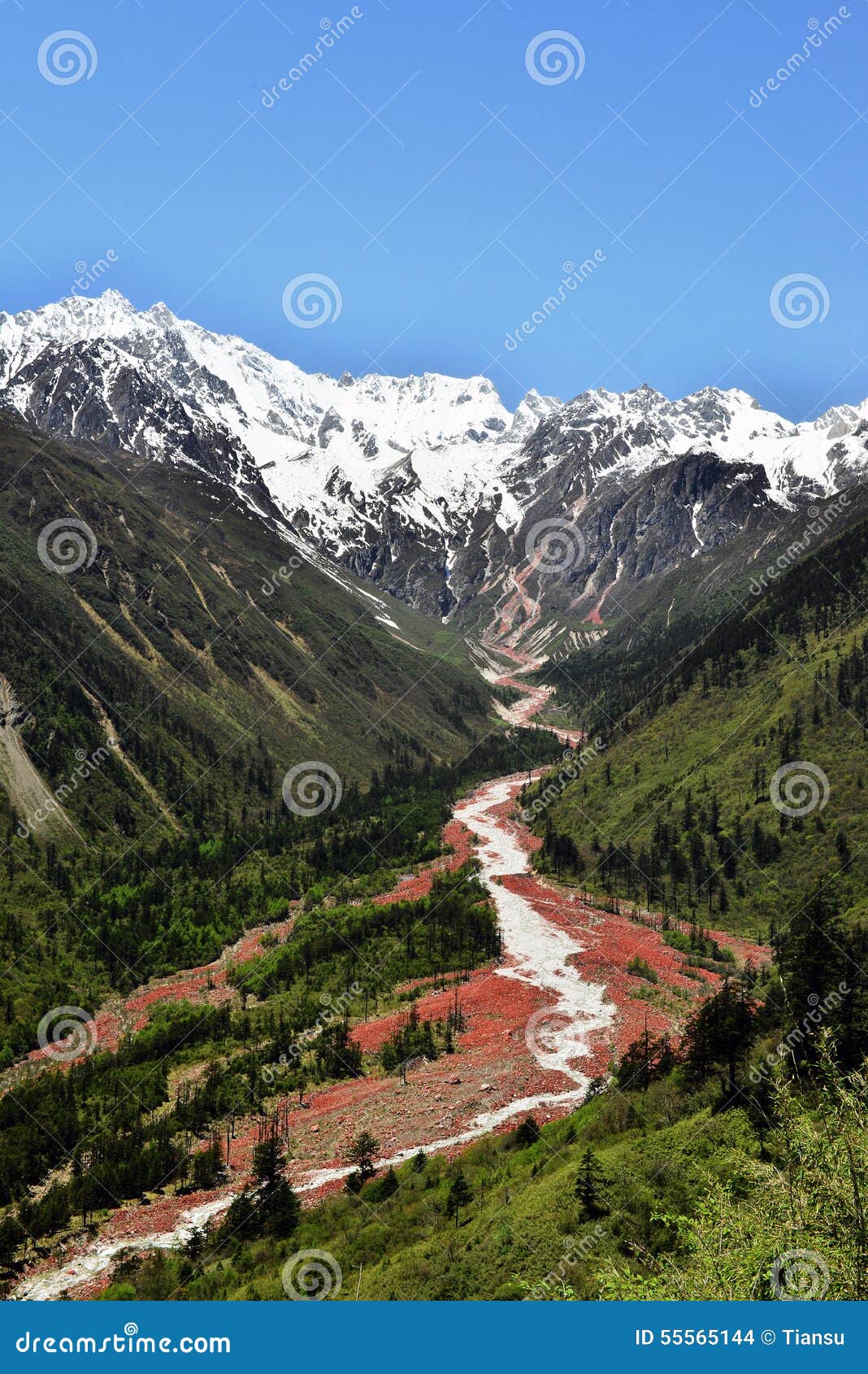 Full of red stone valley stock photo. Image of texture - 55565144