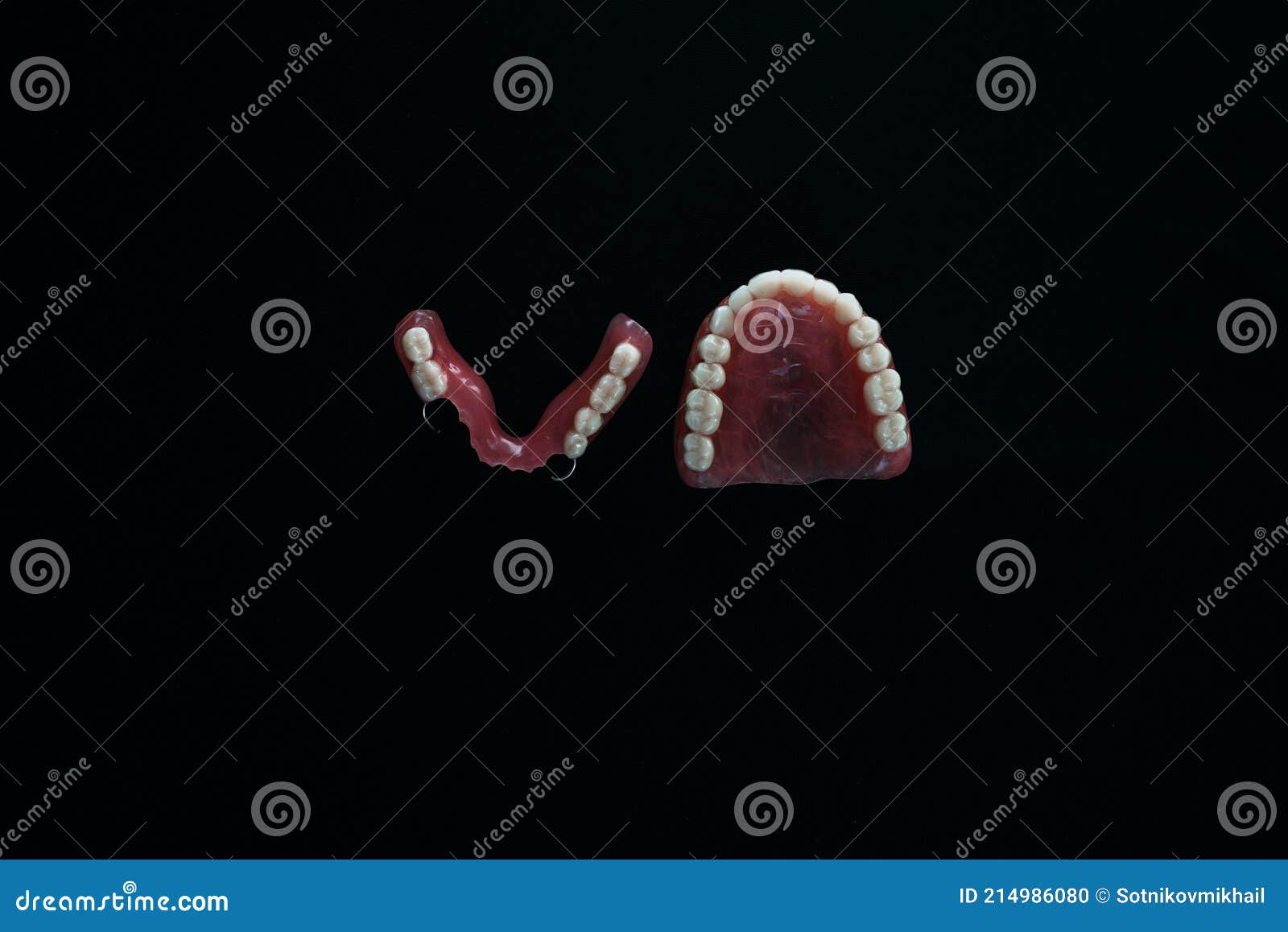 Full Removable Plastic Denture of the Jaws. a Set of Dentures on a ...