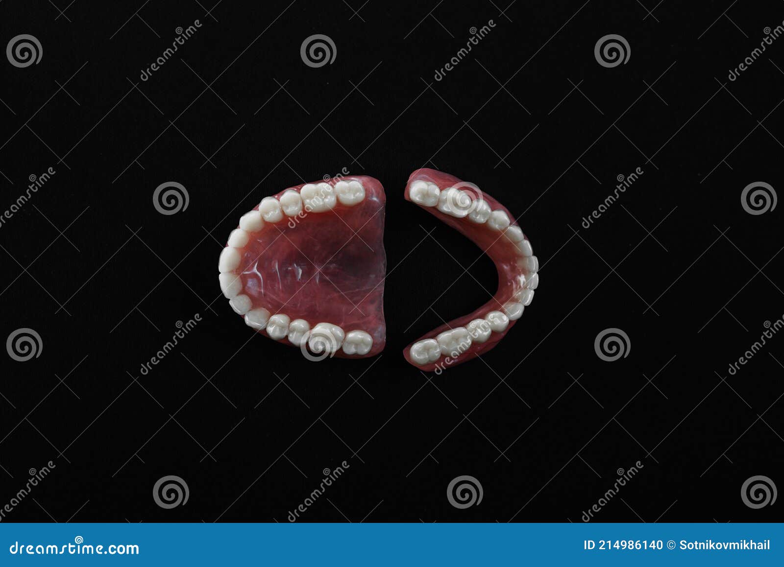 Full Removable Plastic Denture of the Jaws. a Set of Dentures on a ...