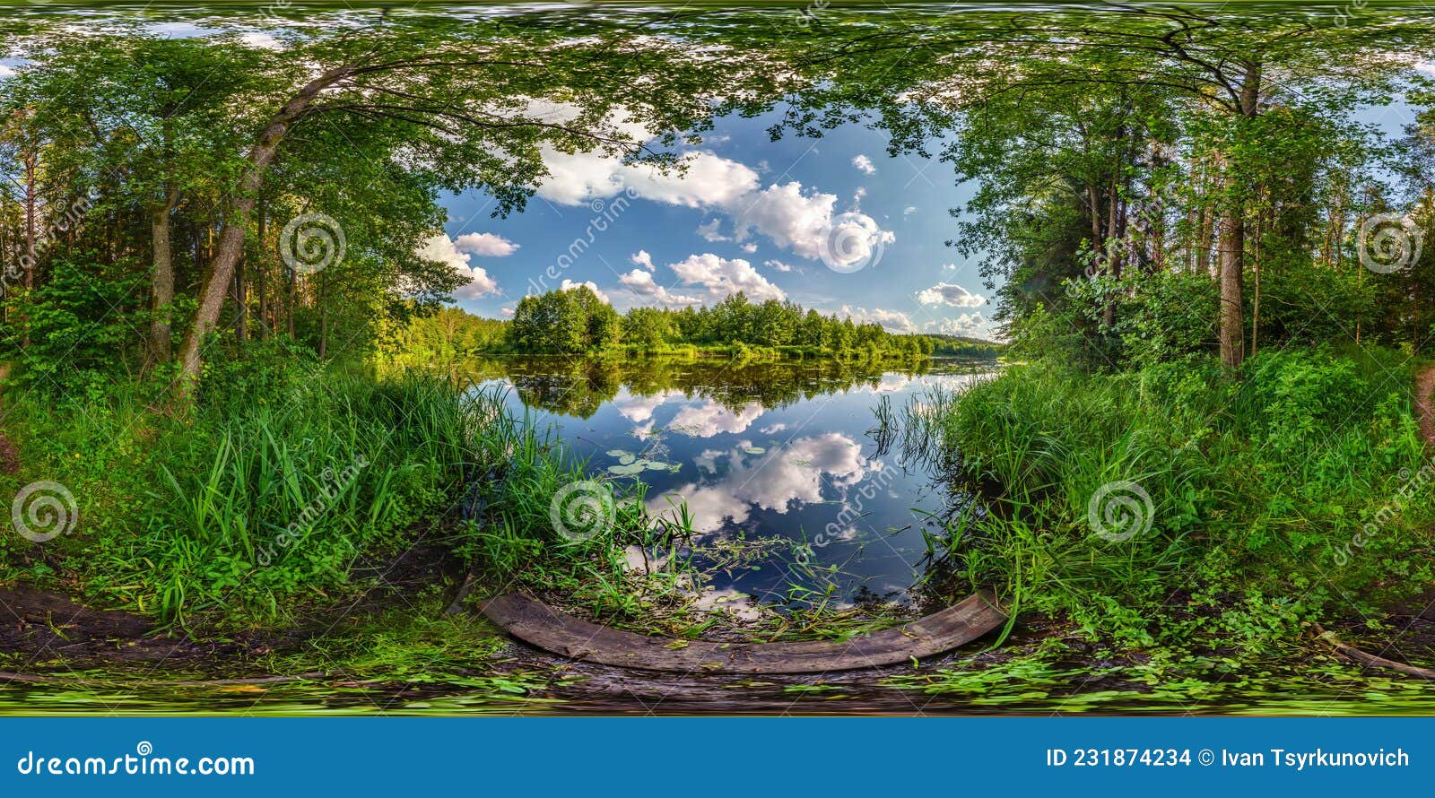 Full Seamless Spherical Hdri Panorama 360 Degrees Angle View among the ...