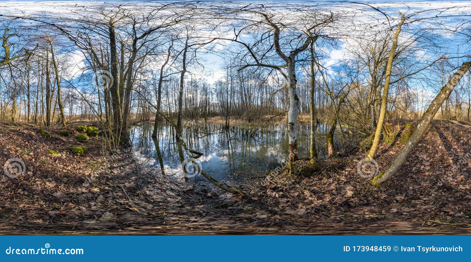 Full Seamless Spherical Hdri Panorama 360 Degrees Angle View among the ...