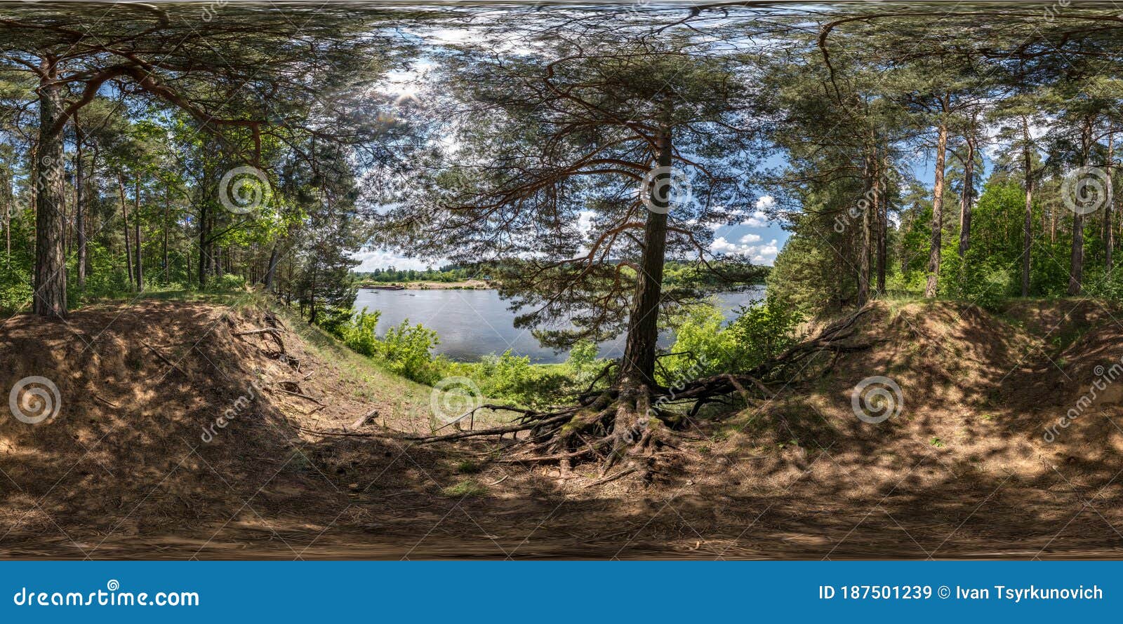 Full Seamless Spherical Hdri Panorama 360 Degrees Angle View in Pinery ...