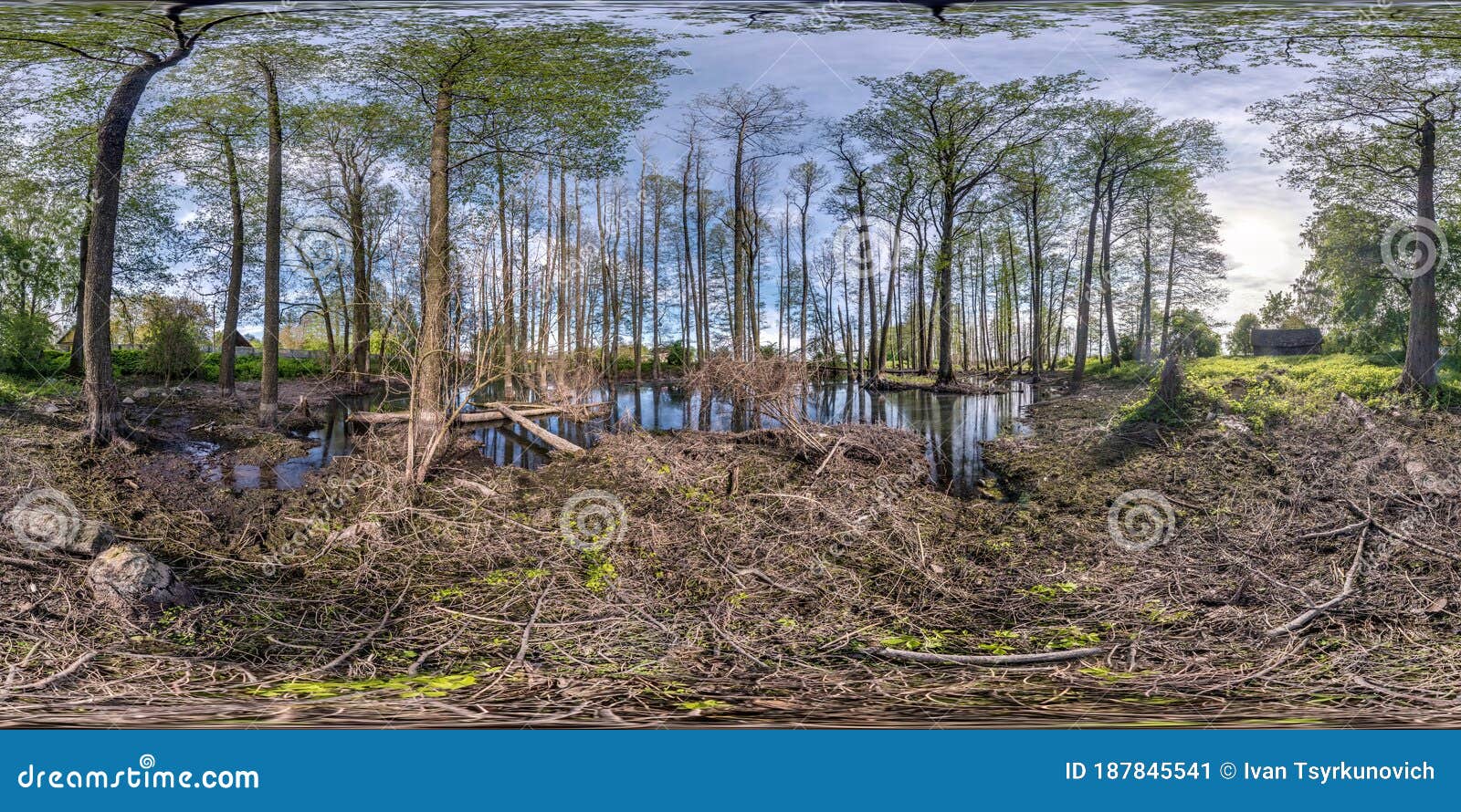 Full Seamless Spherical Hdri Panorama 360 Degrees Angle View among Tall ...