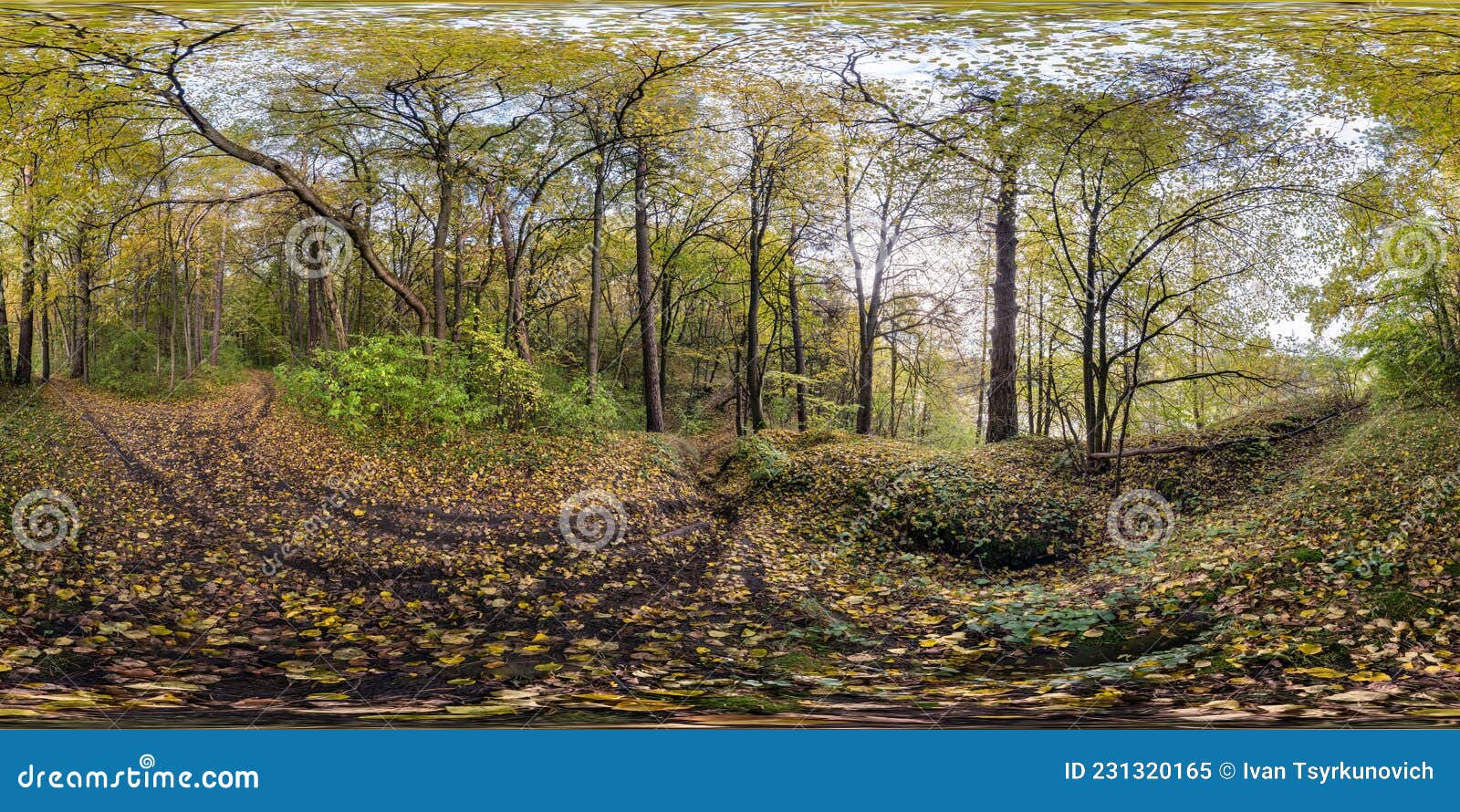 Autumn, HDRI Stock Photography | CartoonDealer.com #30904082