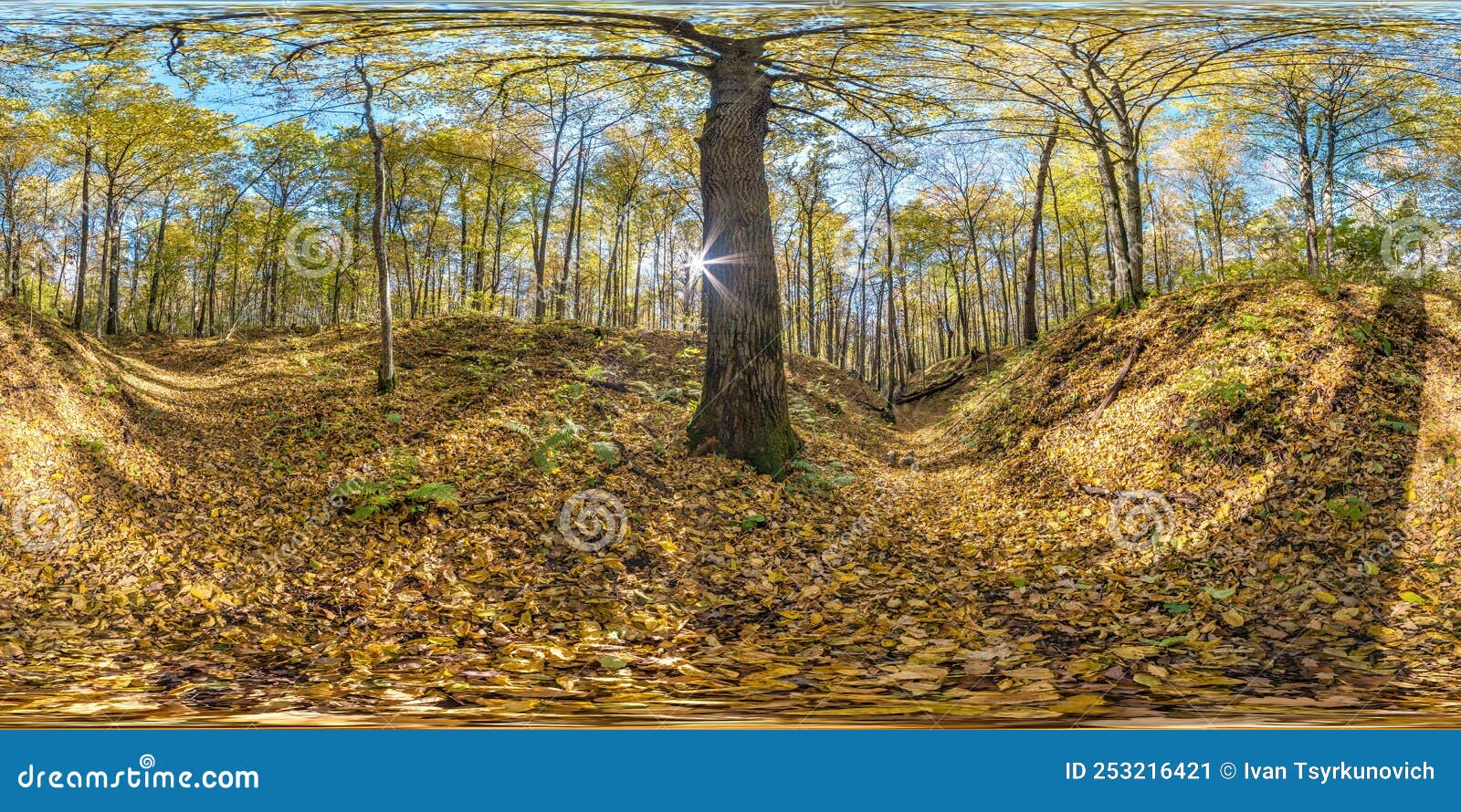 Autumn, HDRI Stock Photography | CartoonDealer.com #30904082