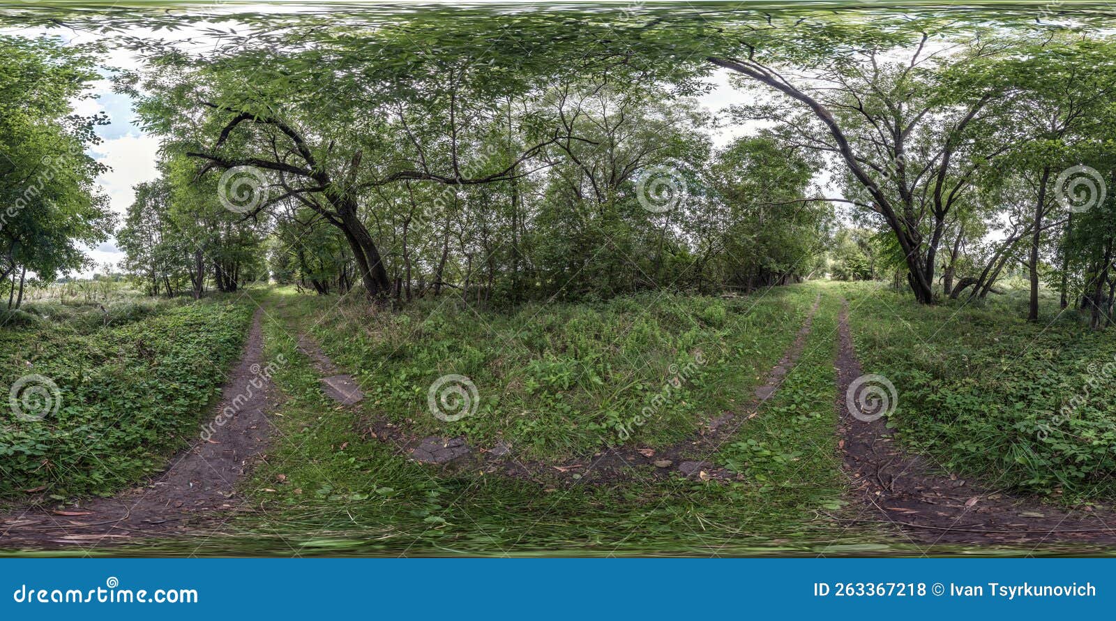 Pedestrian Walking Lane Walkway Footpath Road Sign On Pole Post, Large ...