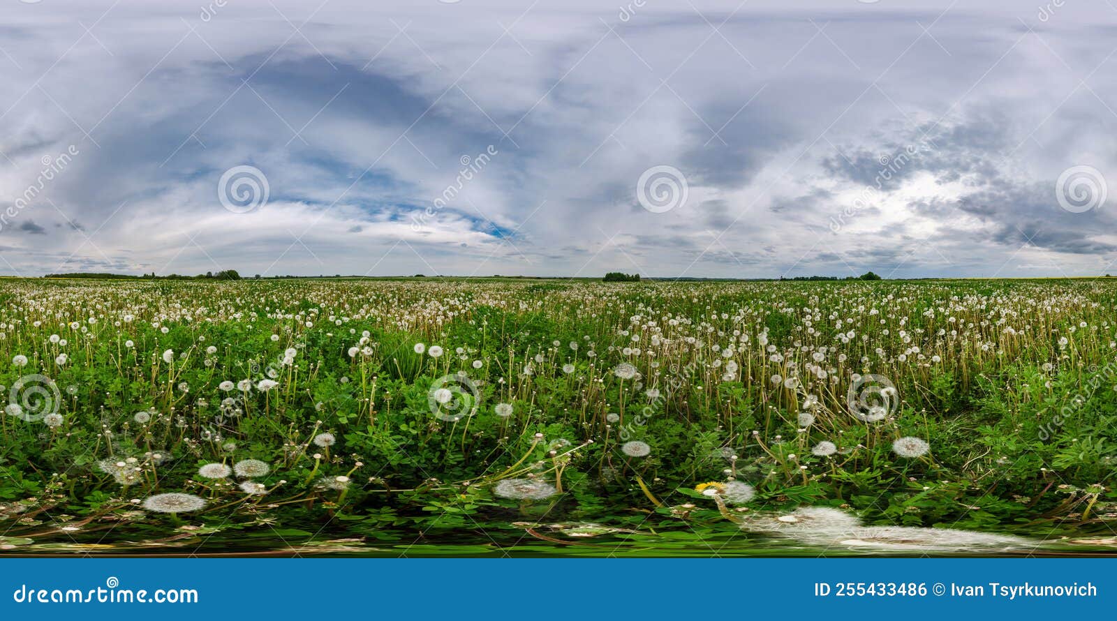 Full Seamless Spherical 360 Hdri Panorama View among Dandelions Fields ...