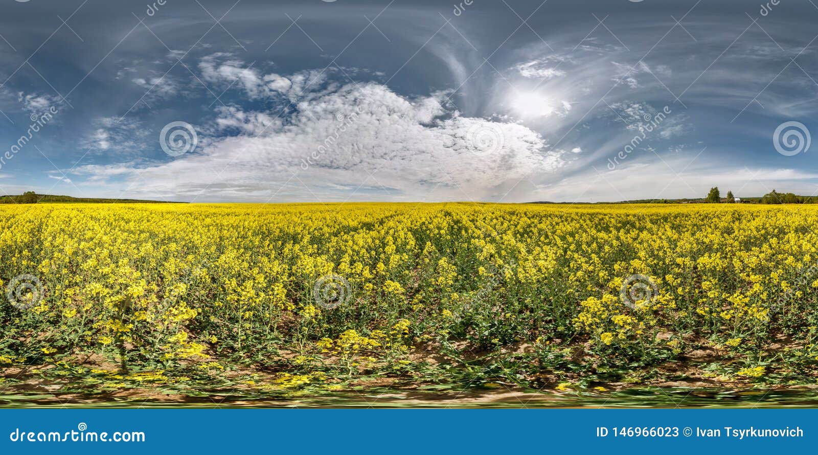 559 360 Flower Stock Photos - Free & Royalty-Free Stock Photos from ...